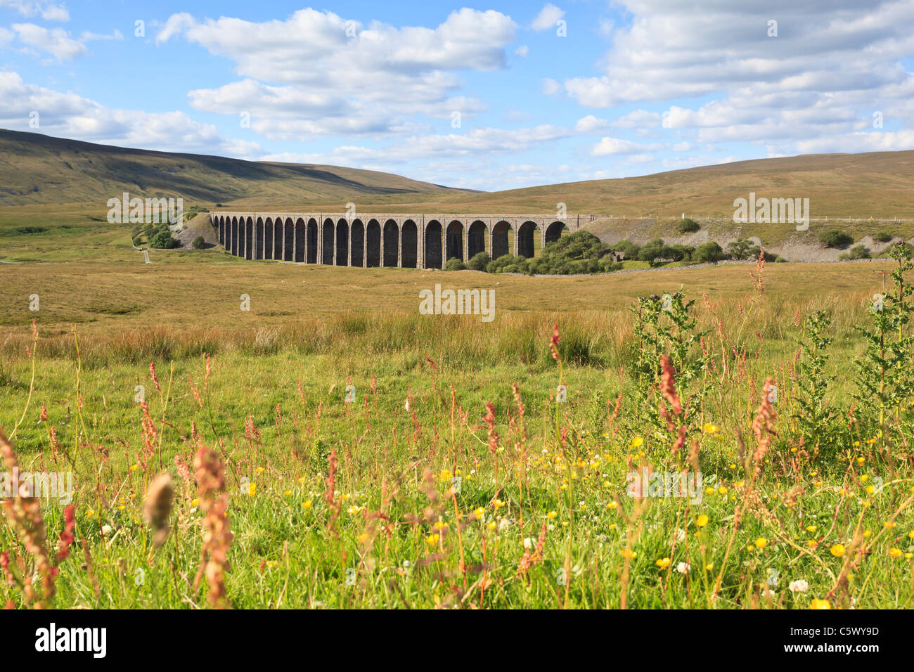 Ribblesdale Viaduct in the Yorkshire Dales, England Stock Photo - Alamy