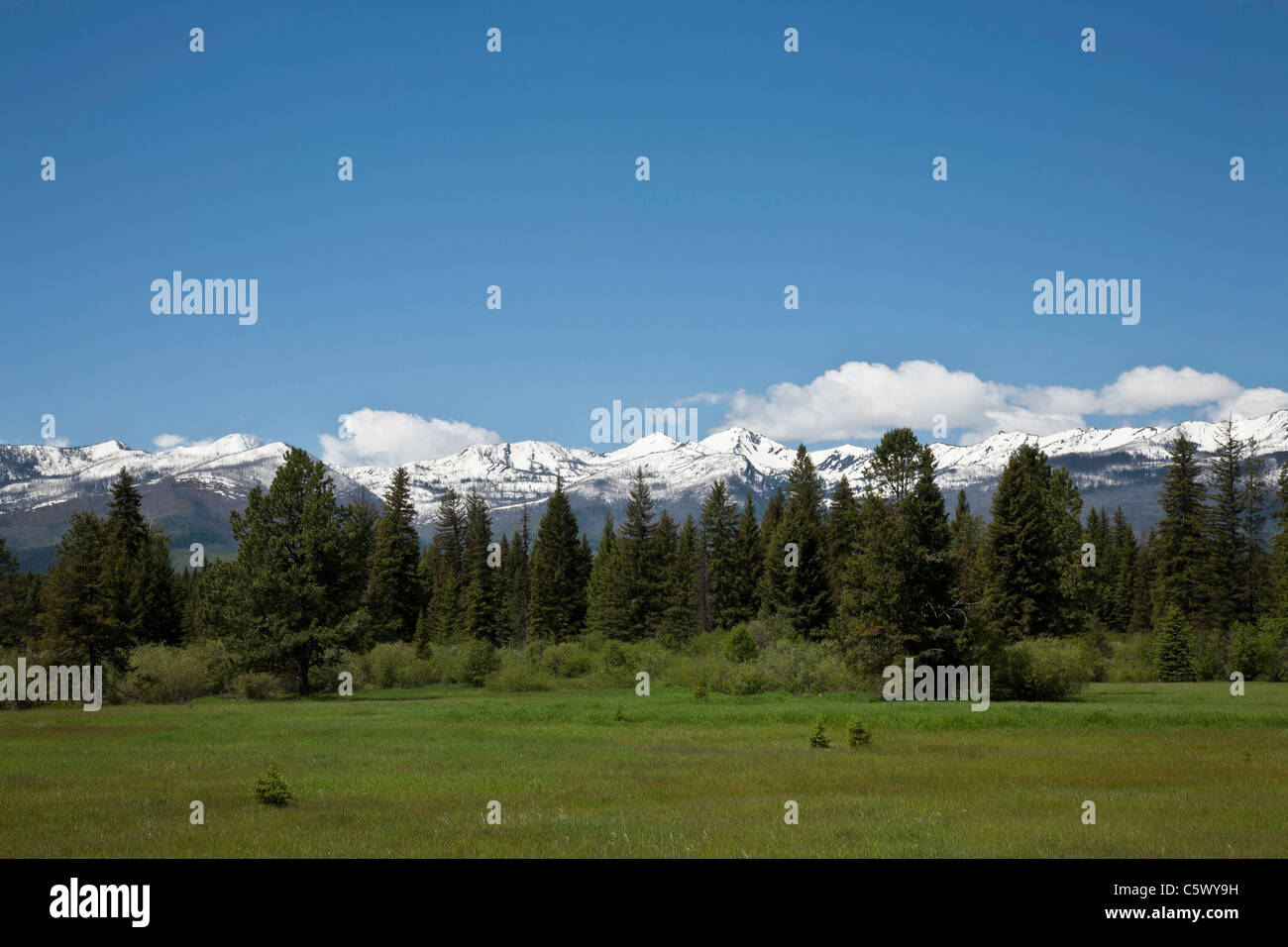 Swan Mountain Range, Rockies, MT Stock Photo - Alamy