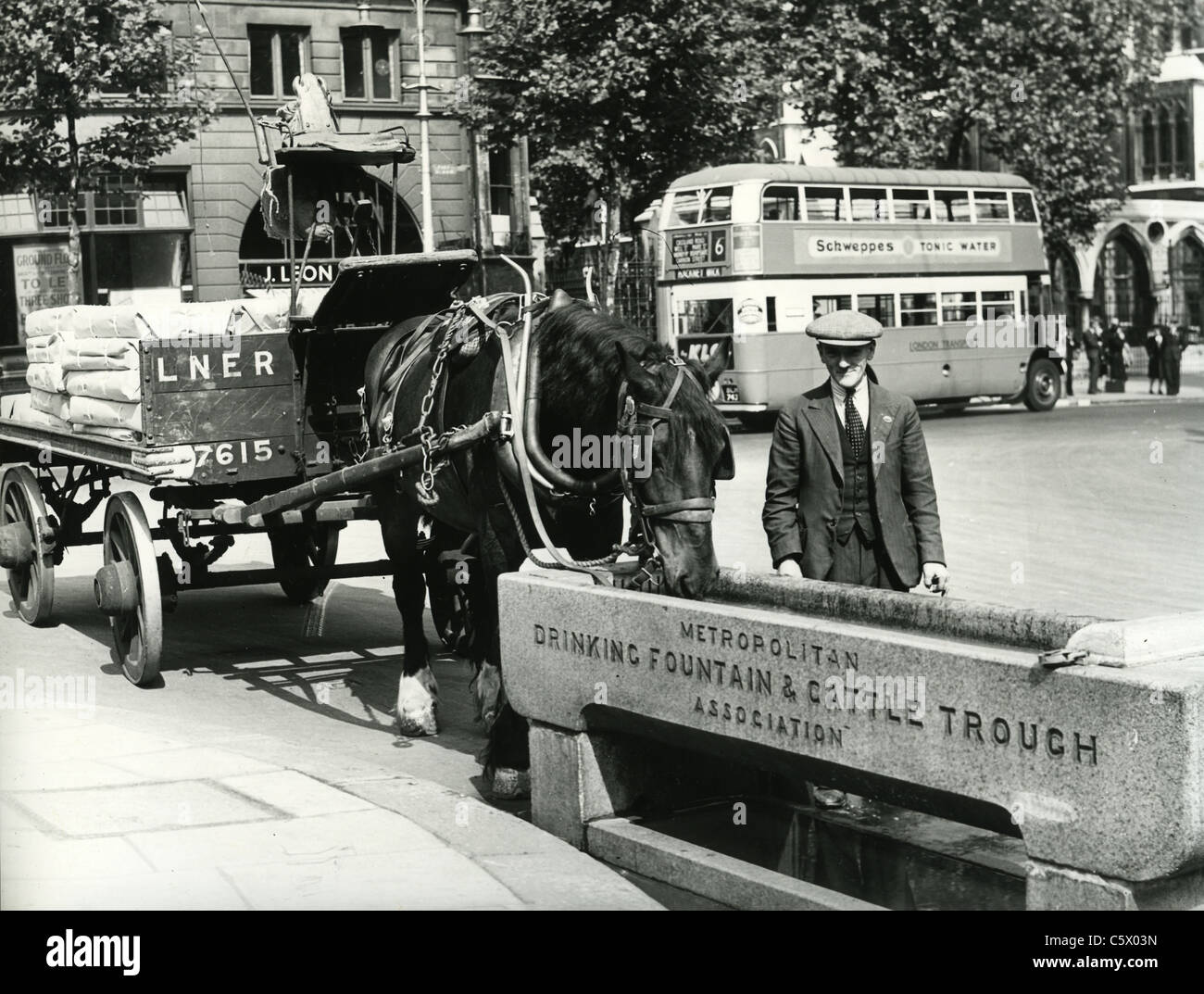 Horse trough hi-res stock photography and images - Alamy