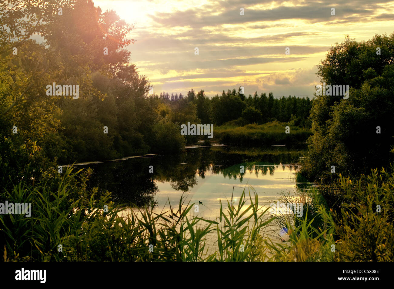 Quiet summer pond in the dusk with subtle lens flare caught with the ...