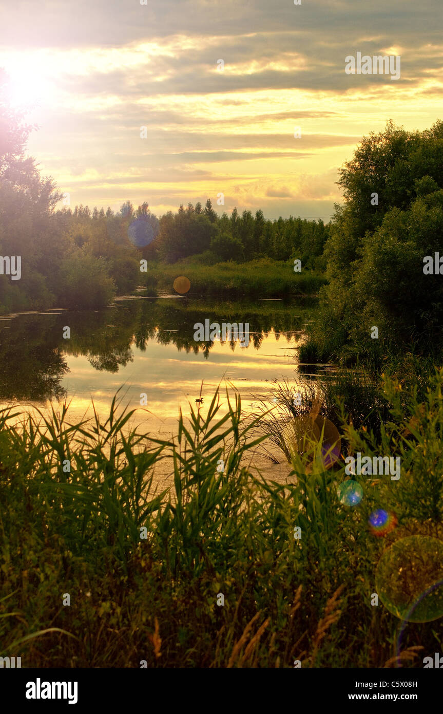 Quiet summer pond in the dusk with subtle lens flare caught with the ...