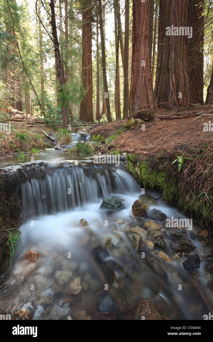 Runoff california hi-res stock photography and images - Alamy