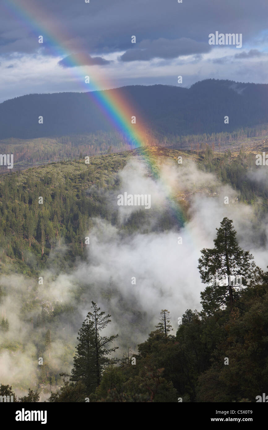 Rainbow over a forested valley in Yosemite National Park, California ...