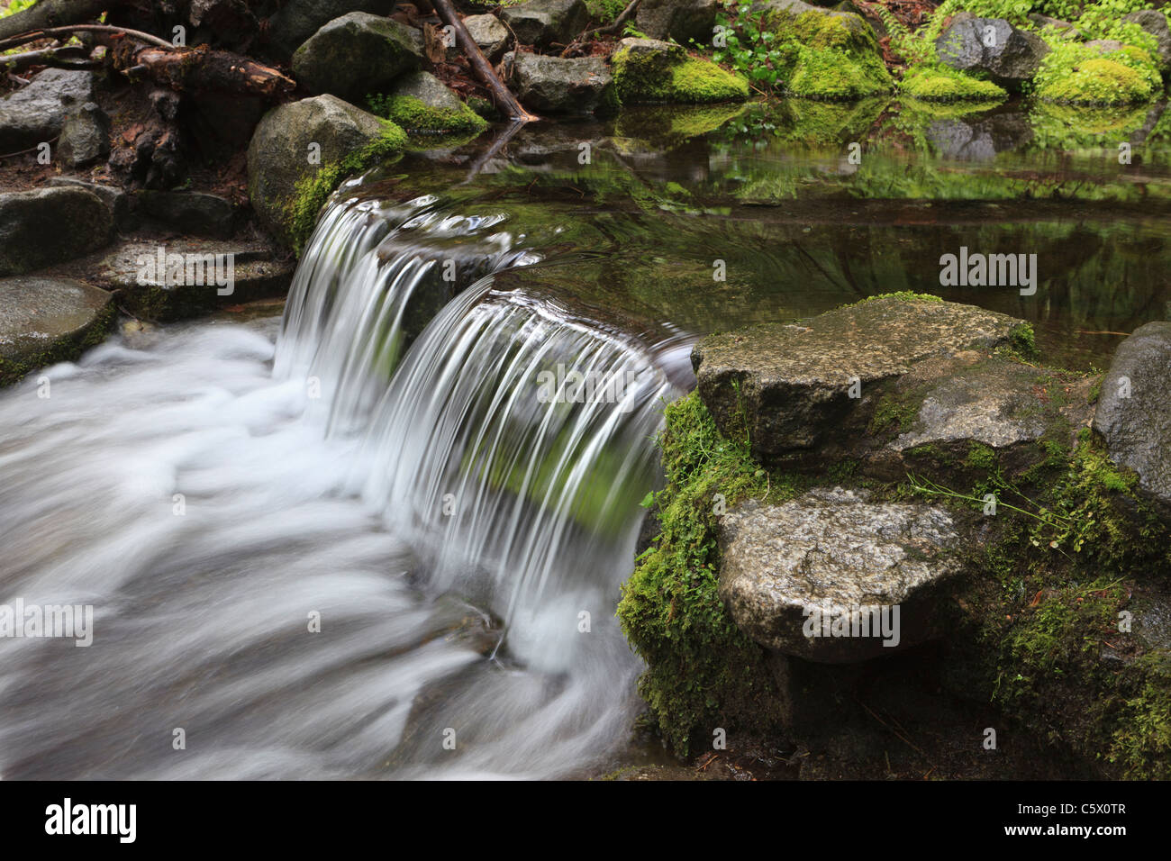 Cascading water of a forest stream in spring Stock Photo - Alamy