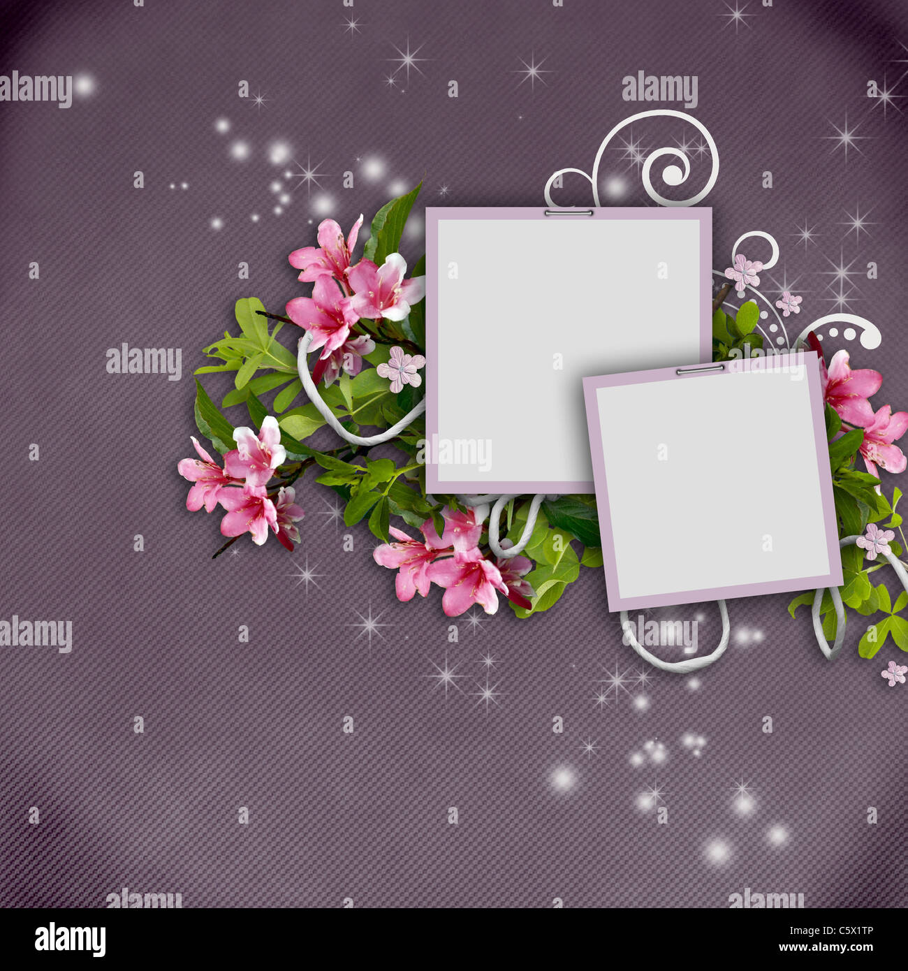 paper photo frames and quince tree flowers on an shabby textured ...
