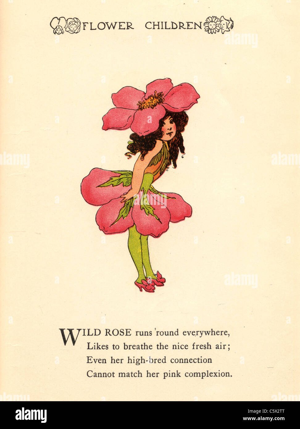 Illustration rose garden hi-res stock photography and images - Alamy