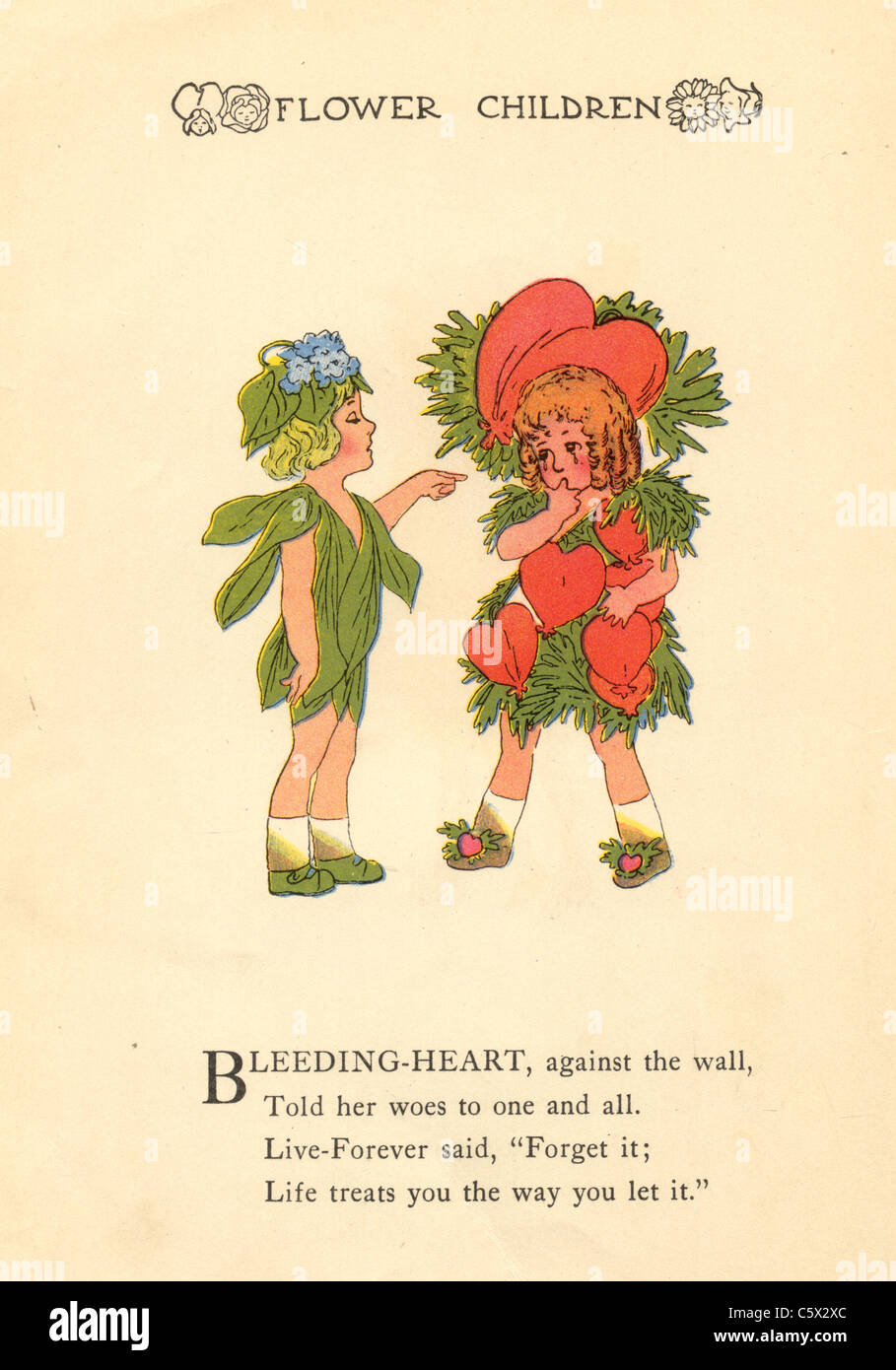 Live forever flower hi-res stock photography and images - Alamy