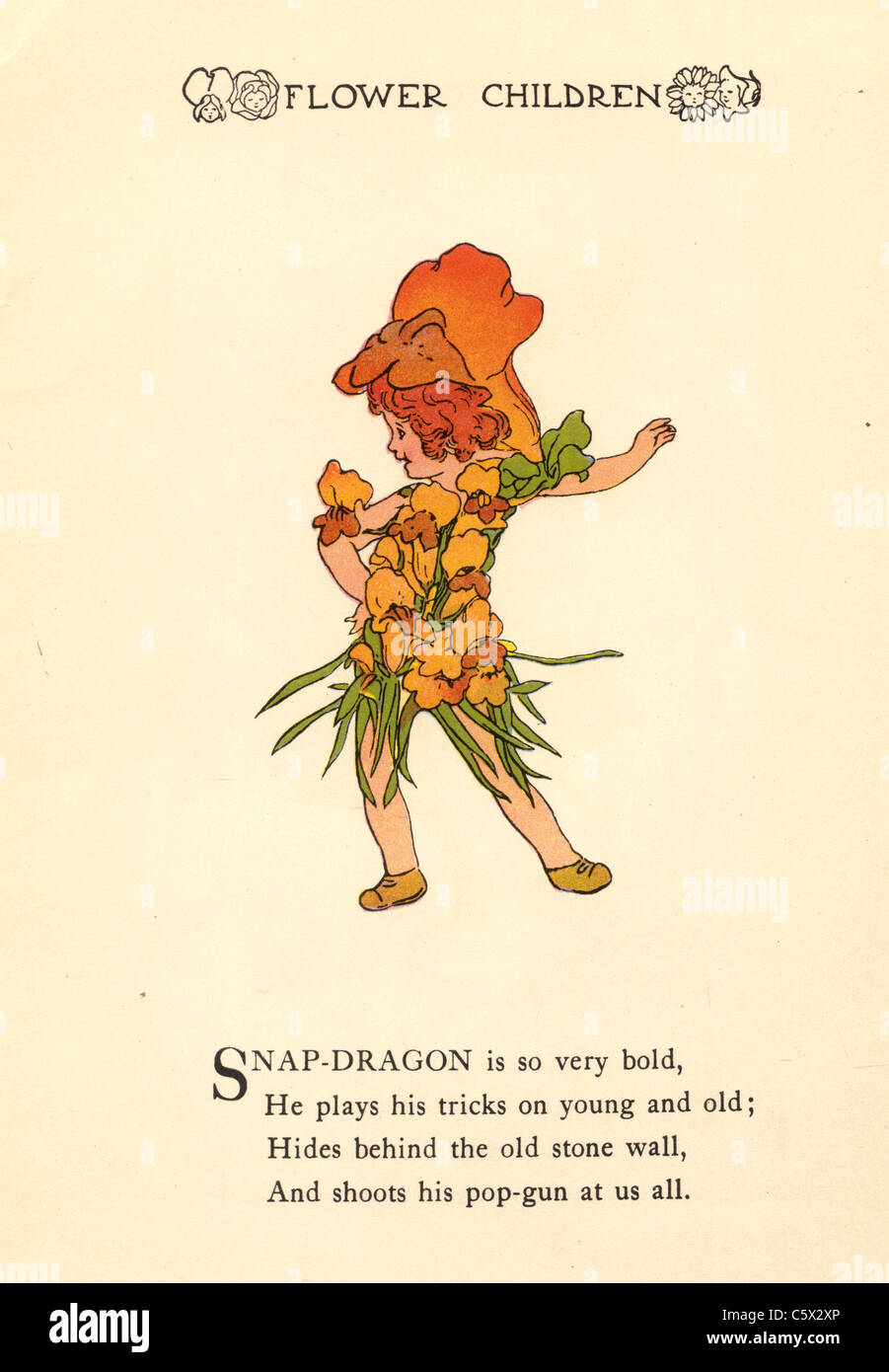 Dragon flower hi-res stock photography and images - Alamy