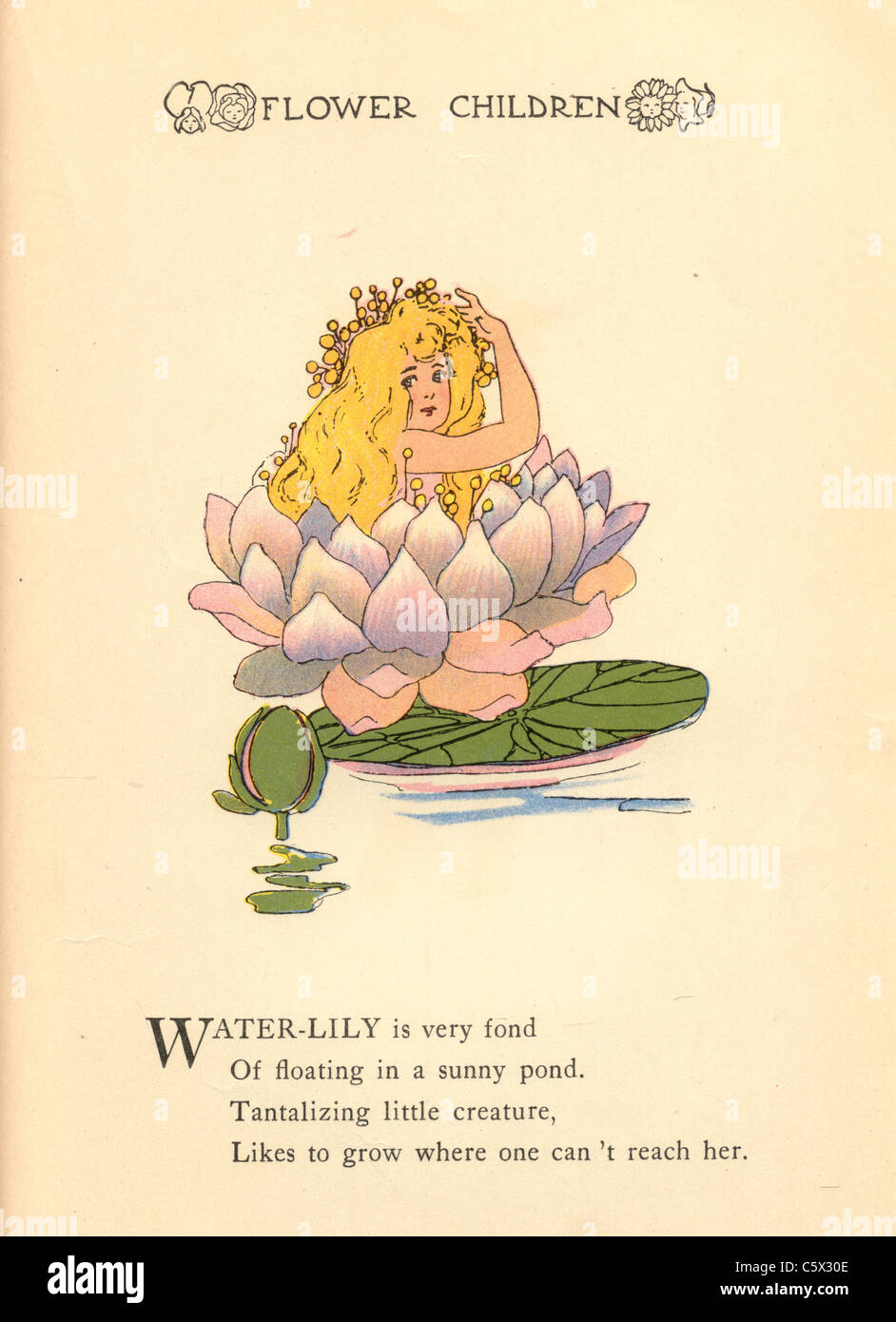 Water-Lily - Flower Child Illustration from an antiquarian book Stock ...