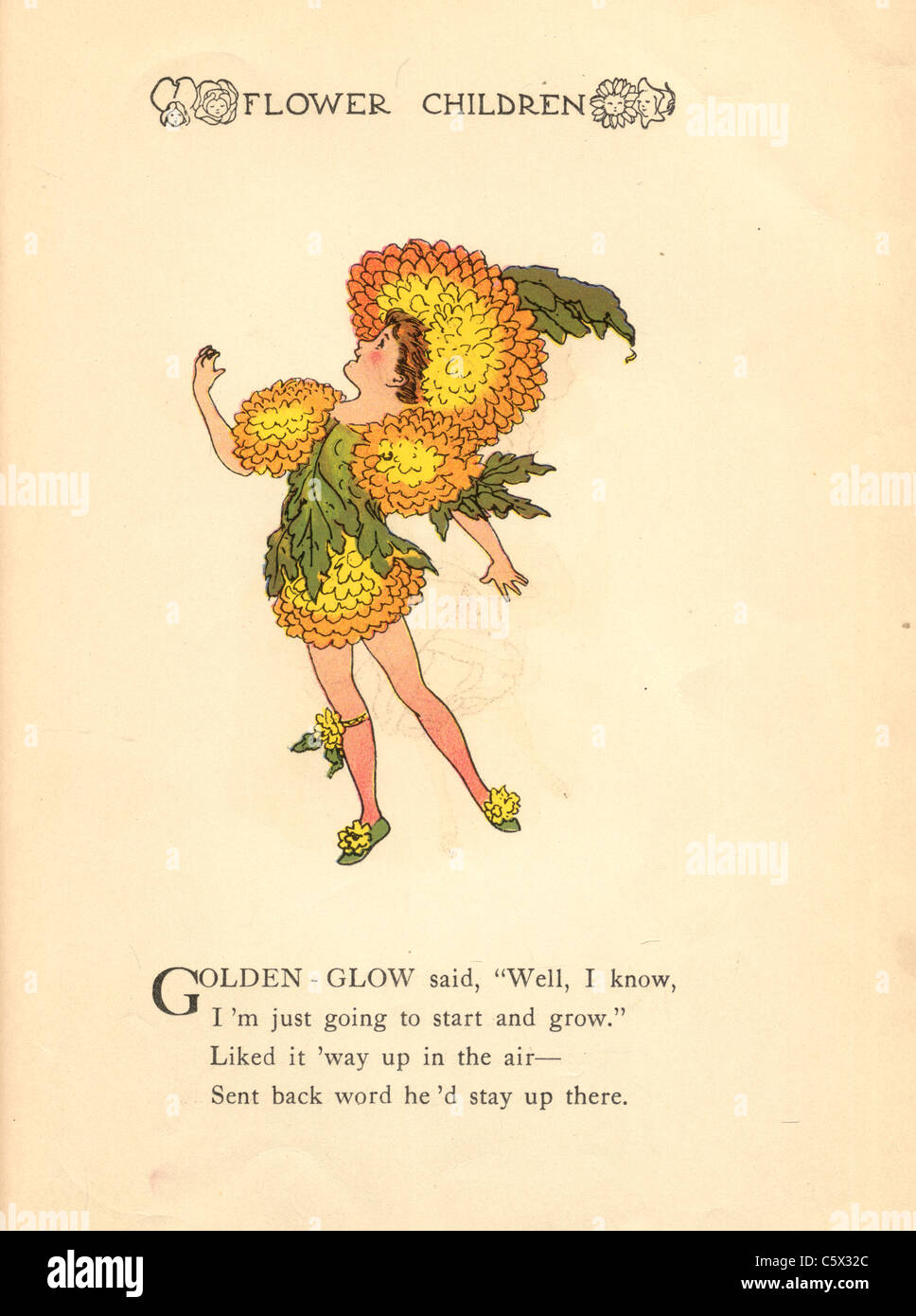 Golden-Glow - Flower Child Illustration from an antiquarian book Stock ...