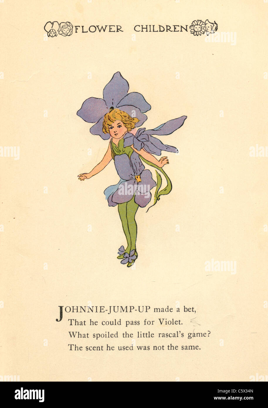 Johnnie-Jump-Up - Flower Child Illustration from an antiquarian book ...
