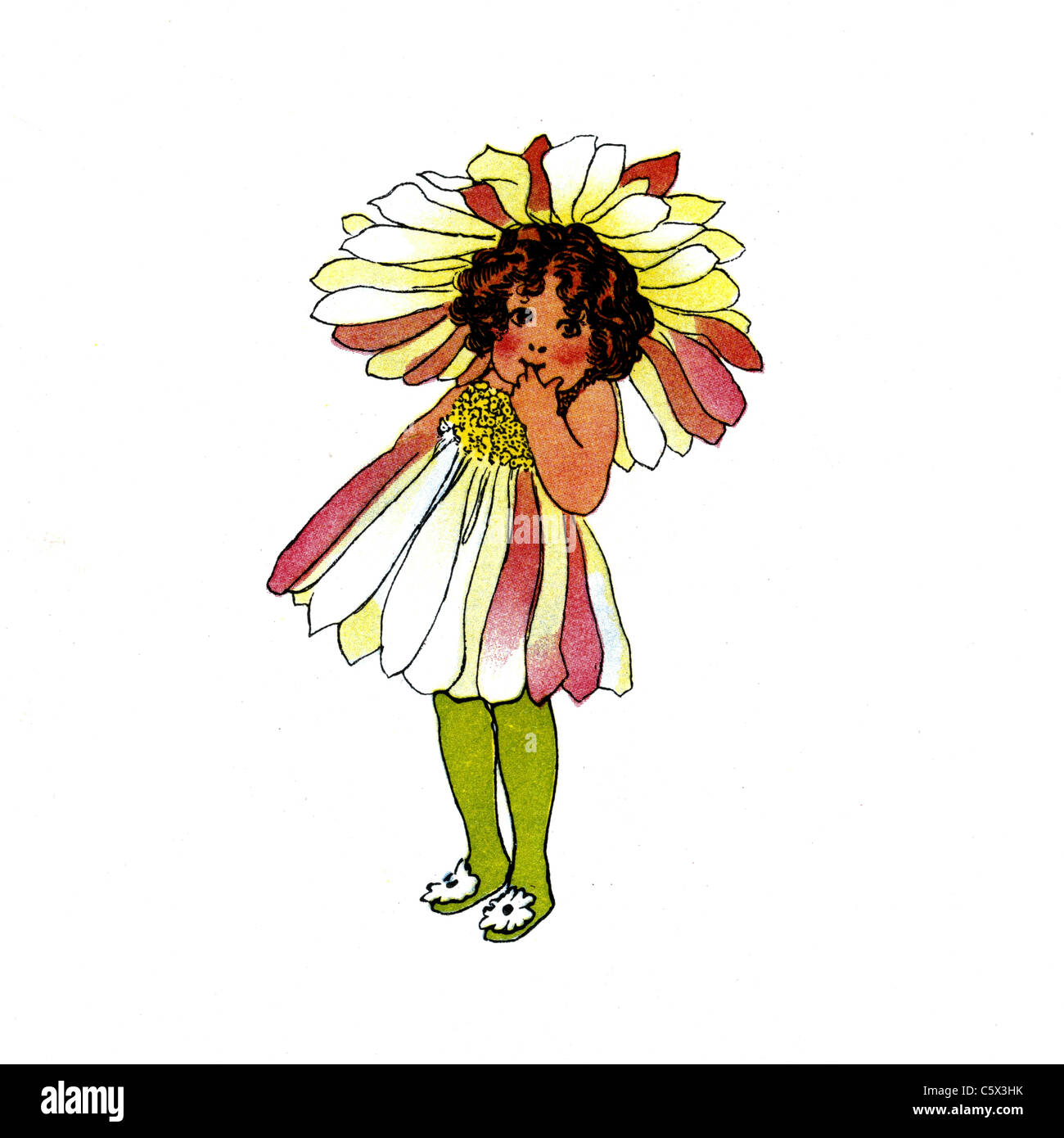 Old picture of daisy hi-res stock photography and images - Alamy