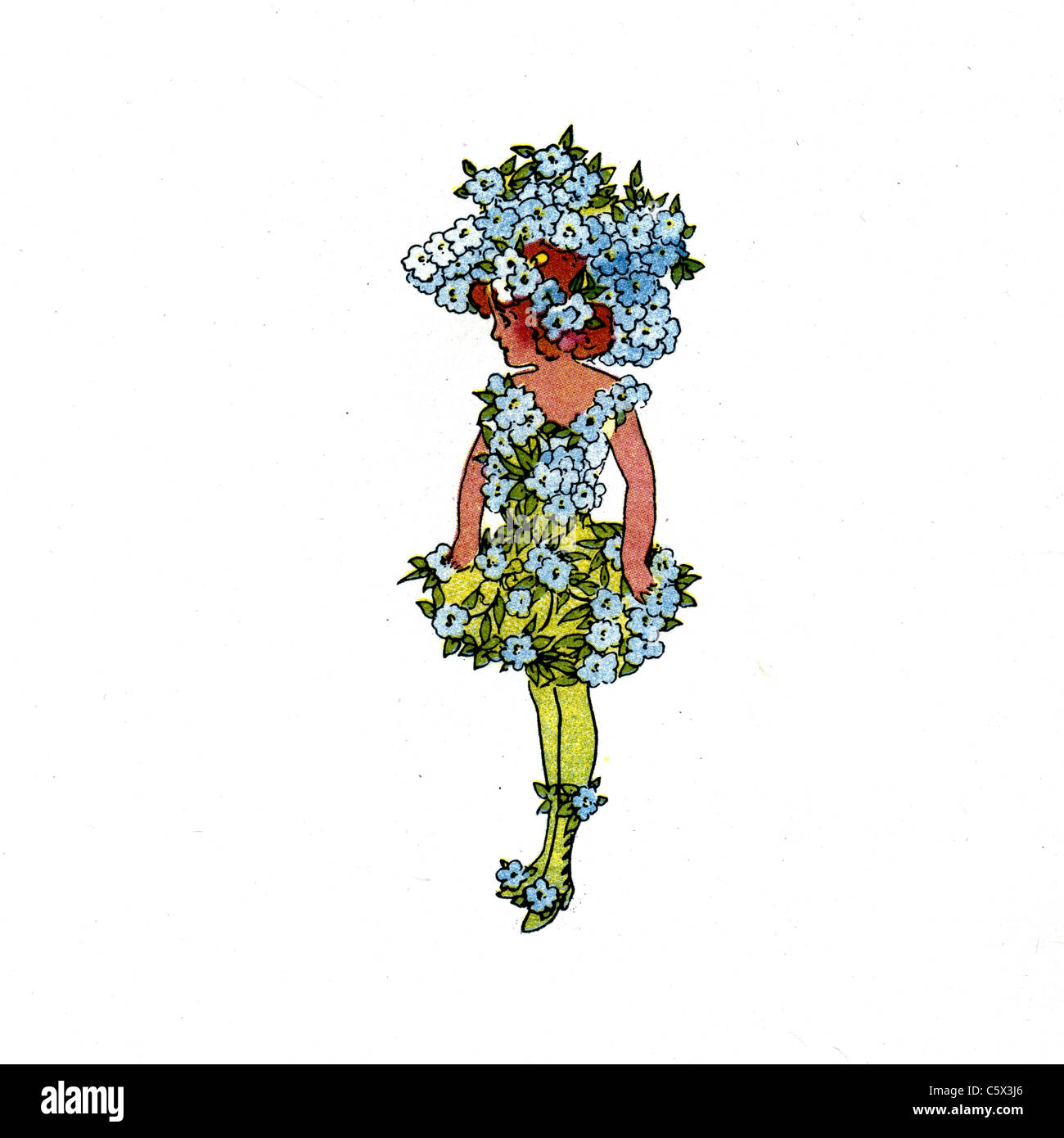 Forget-Me-Not - Flower Child Illustration from an antiquarian book ...