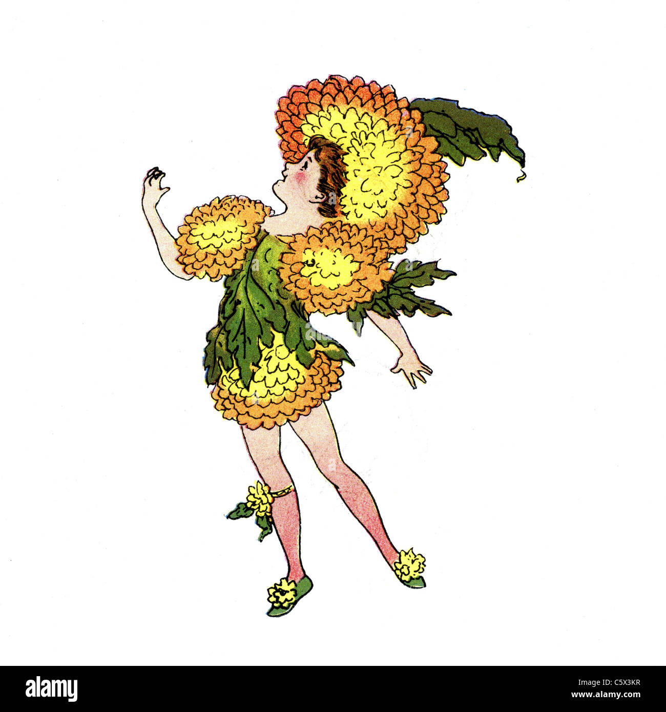 Golden-Glow - Flower Child Illustration from an antiquarian book Stock ...