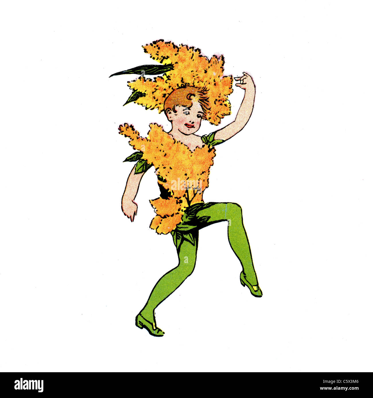 Golden-Rod - Flower Child Illustration from an antiquarian book Stock ...