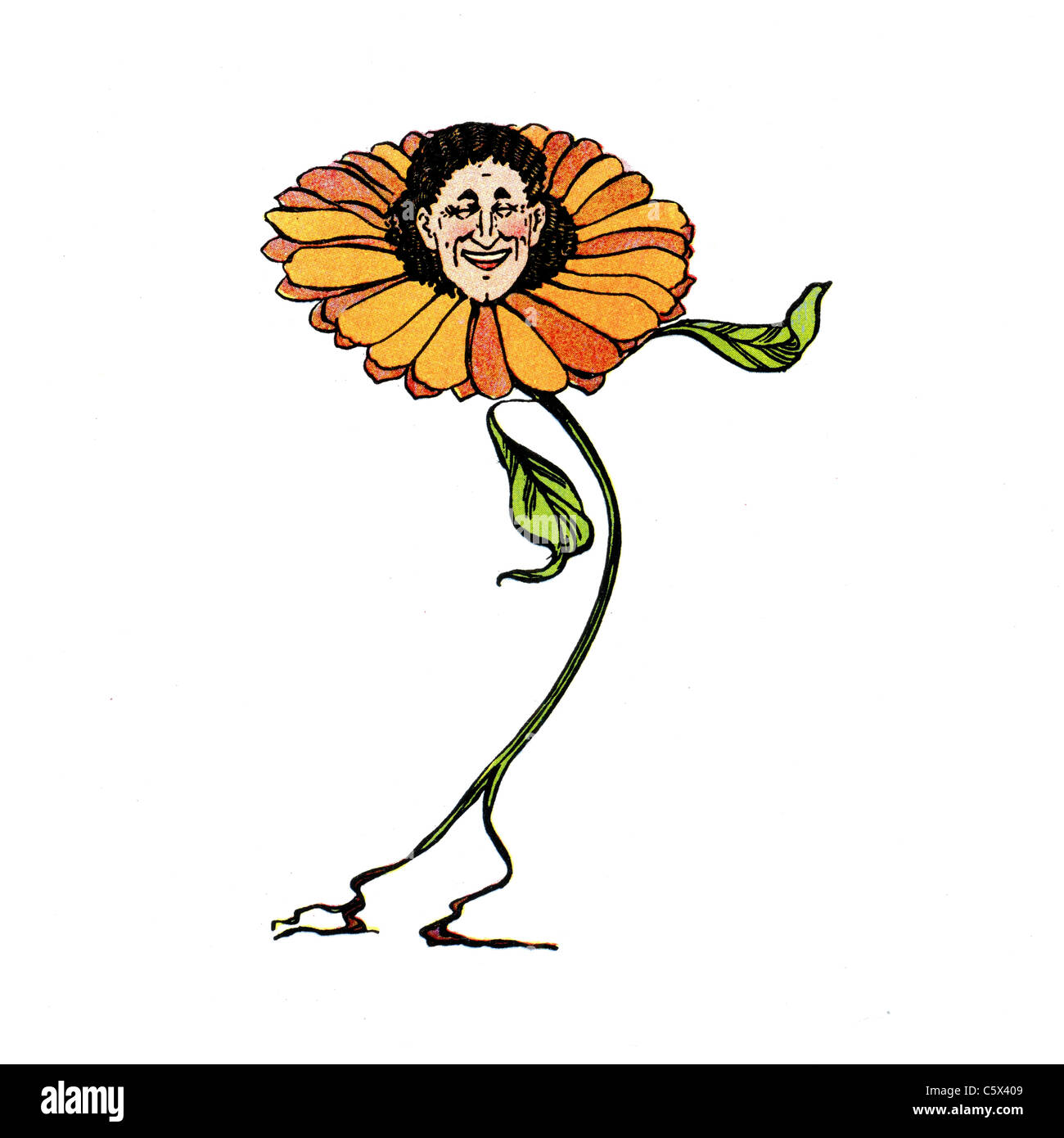 Elizabeth sunflower hi-res stock photography and images - Alamy