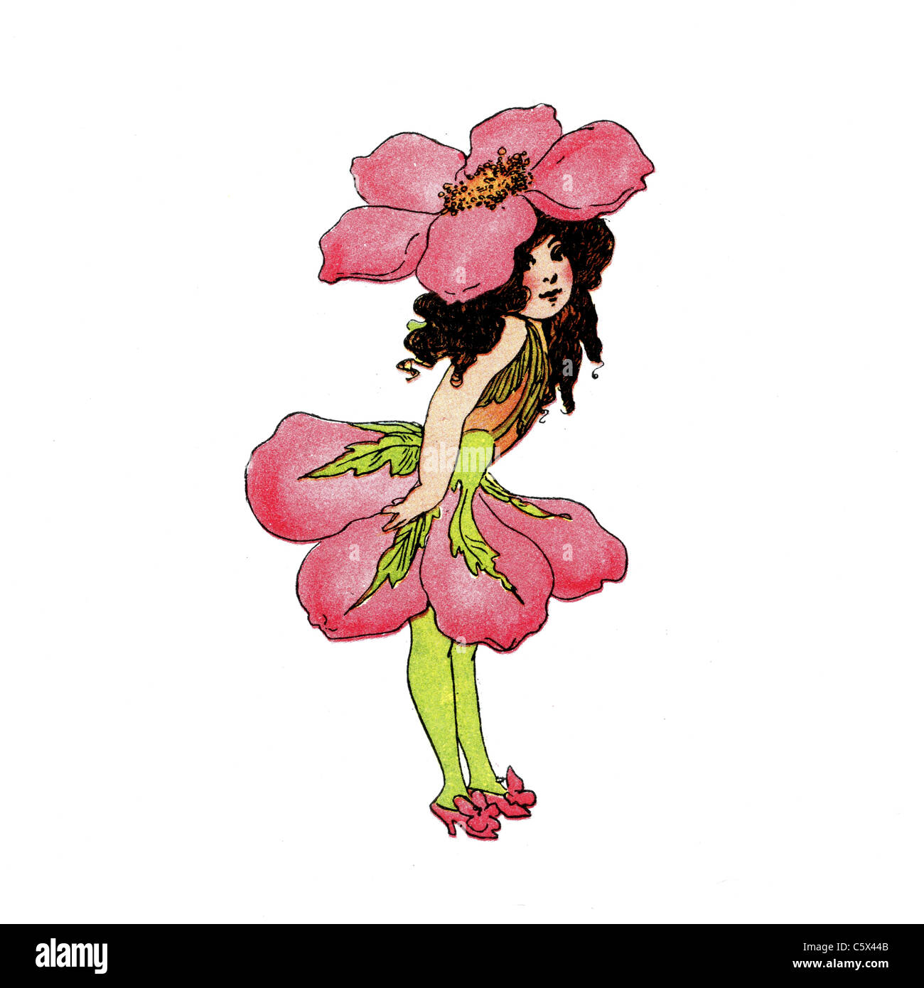 Pretty rose Cut Out Stock Images & Pictures - Alamy