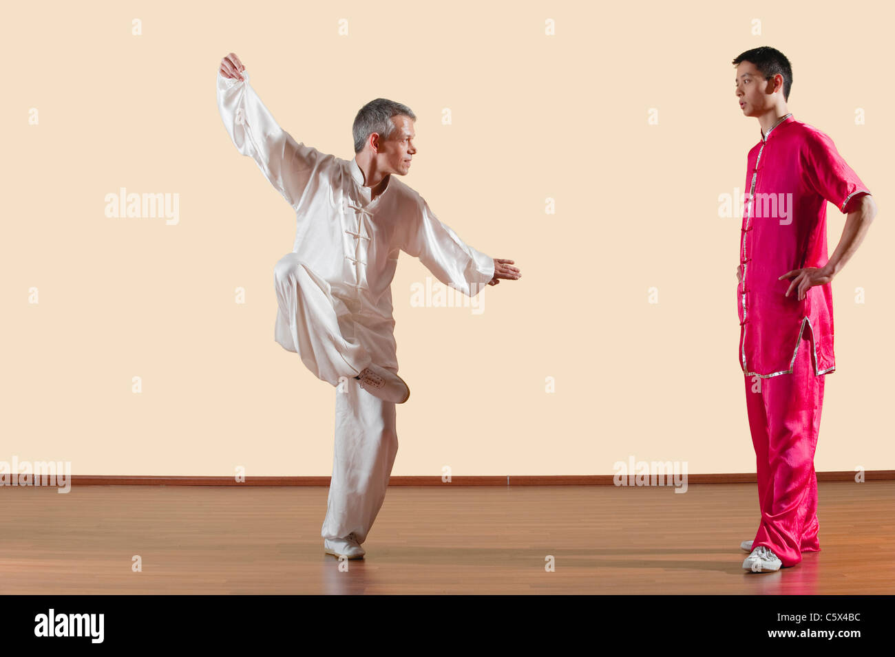 Kung Fu, Tixi liangquan, Two men doing kung-fu moves Stock Photo - Alamy