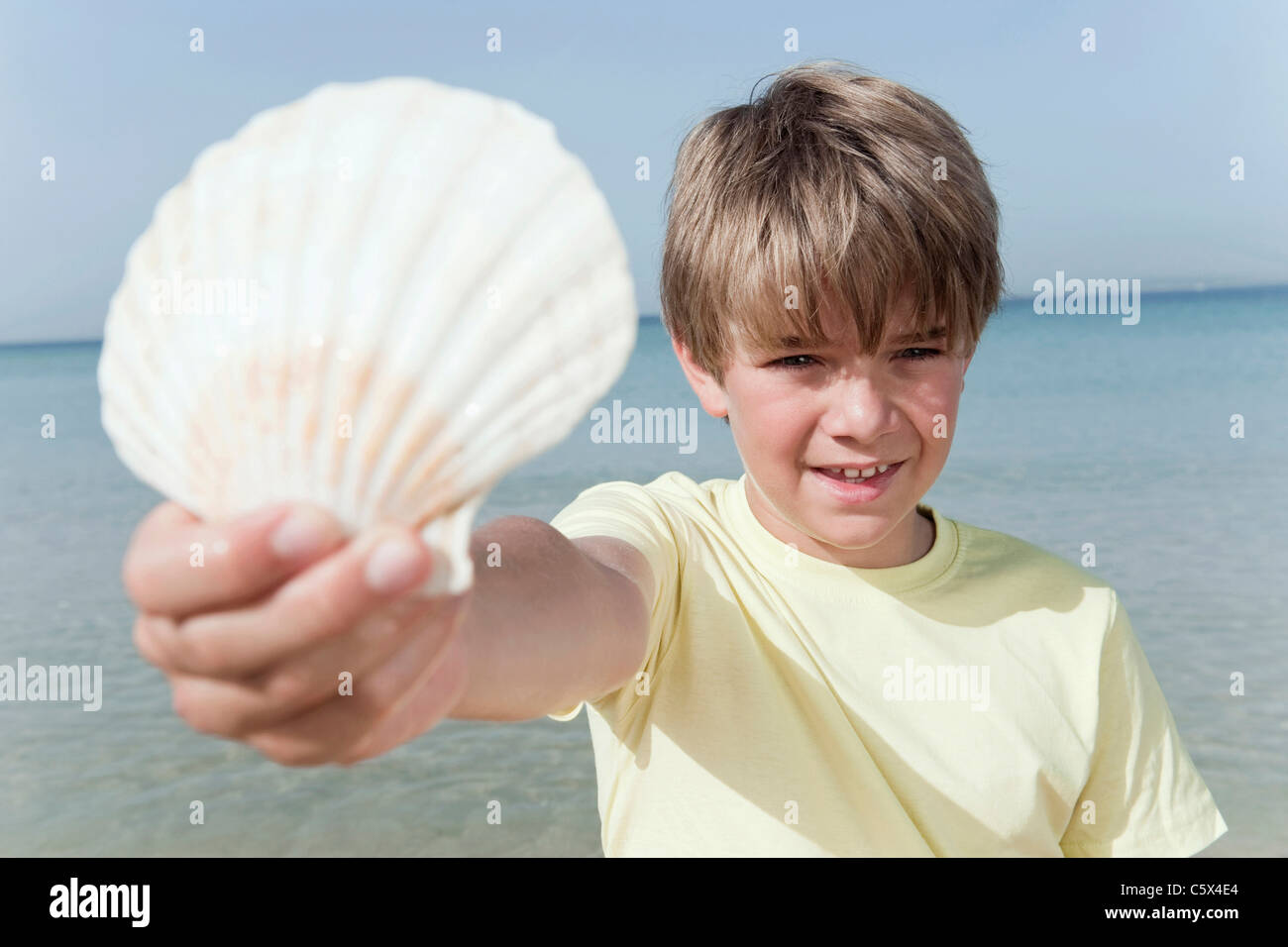 Shell 8 hi-res stock photography and images - Alamy