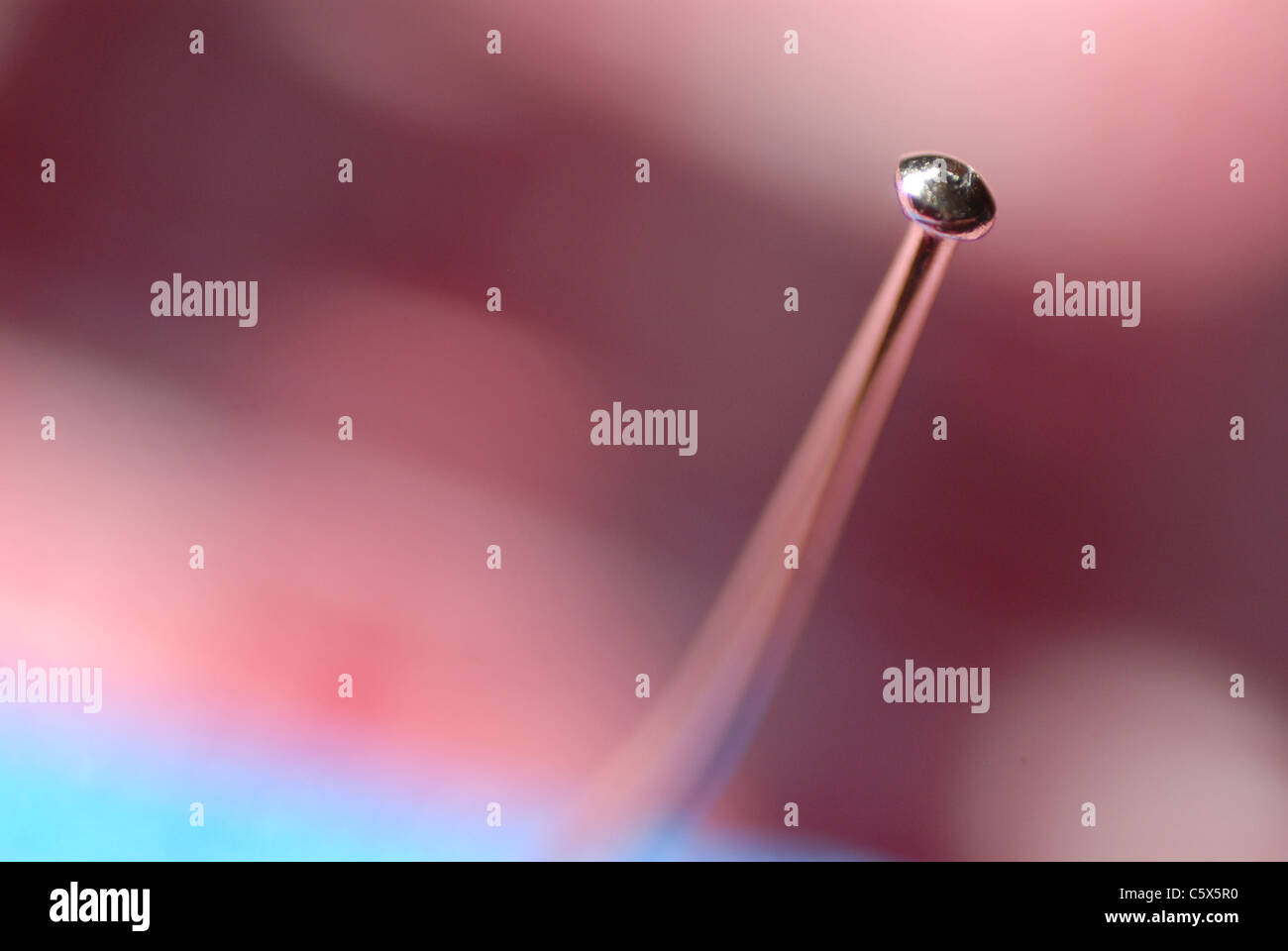 Broches hi-res stock photography and images - Alamy