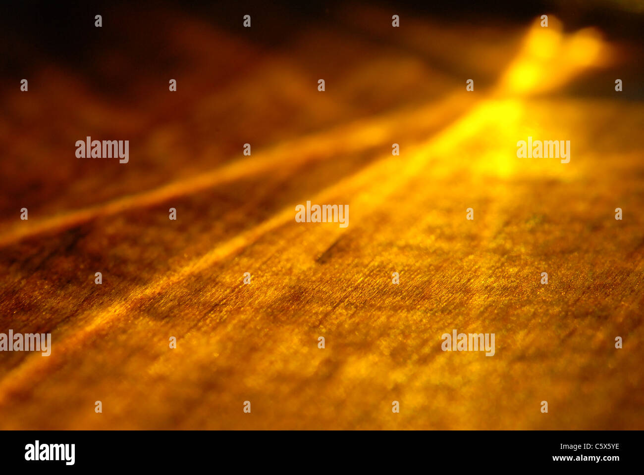 Golden reflected light hi-res stock photography and images - Alamy