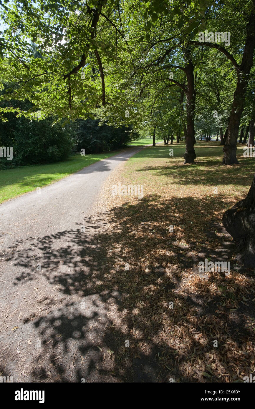 Helsinki city trees hi-res stock photography and images - Alamy