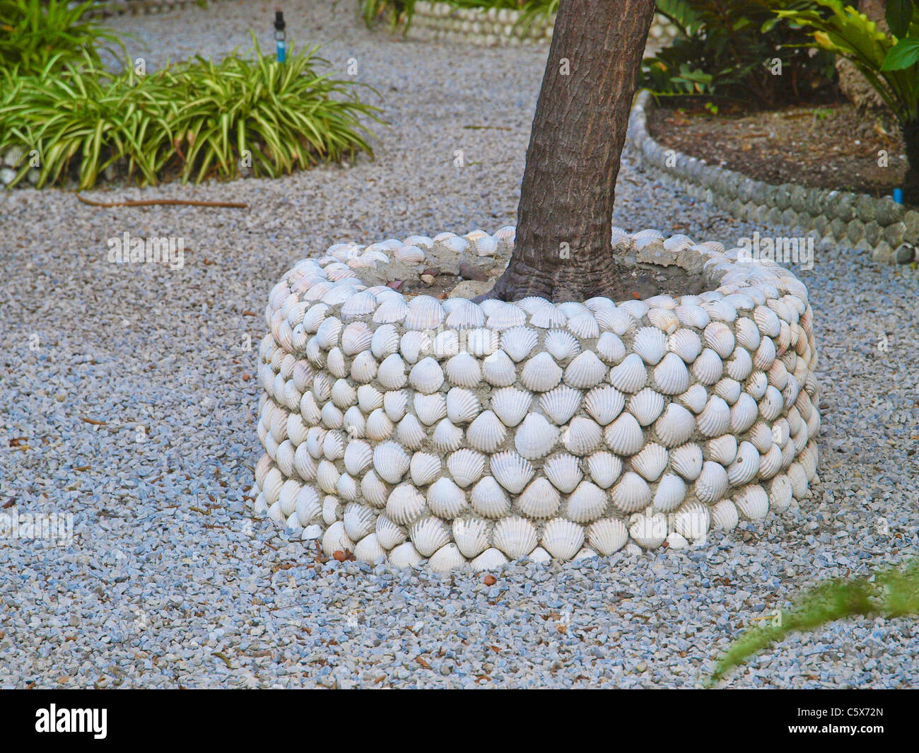 palm tree, Gibraltar Stock Photo - Alamy