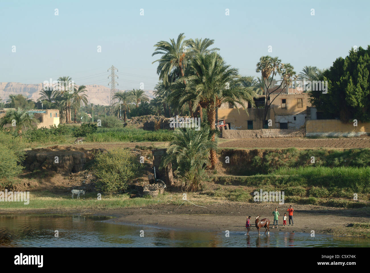 Family on the banks of the River Nile, Egypt Stock Photo - Alamy