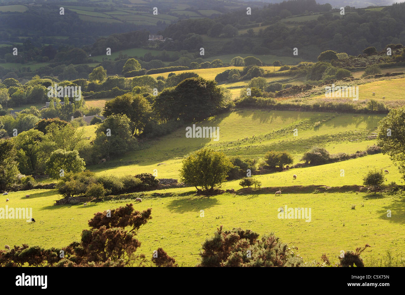 Devonrolling devon fields near moretonhampstead on the slopes of ...