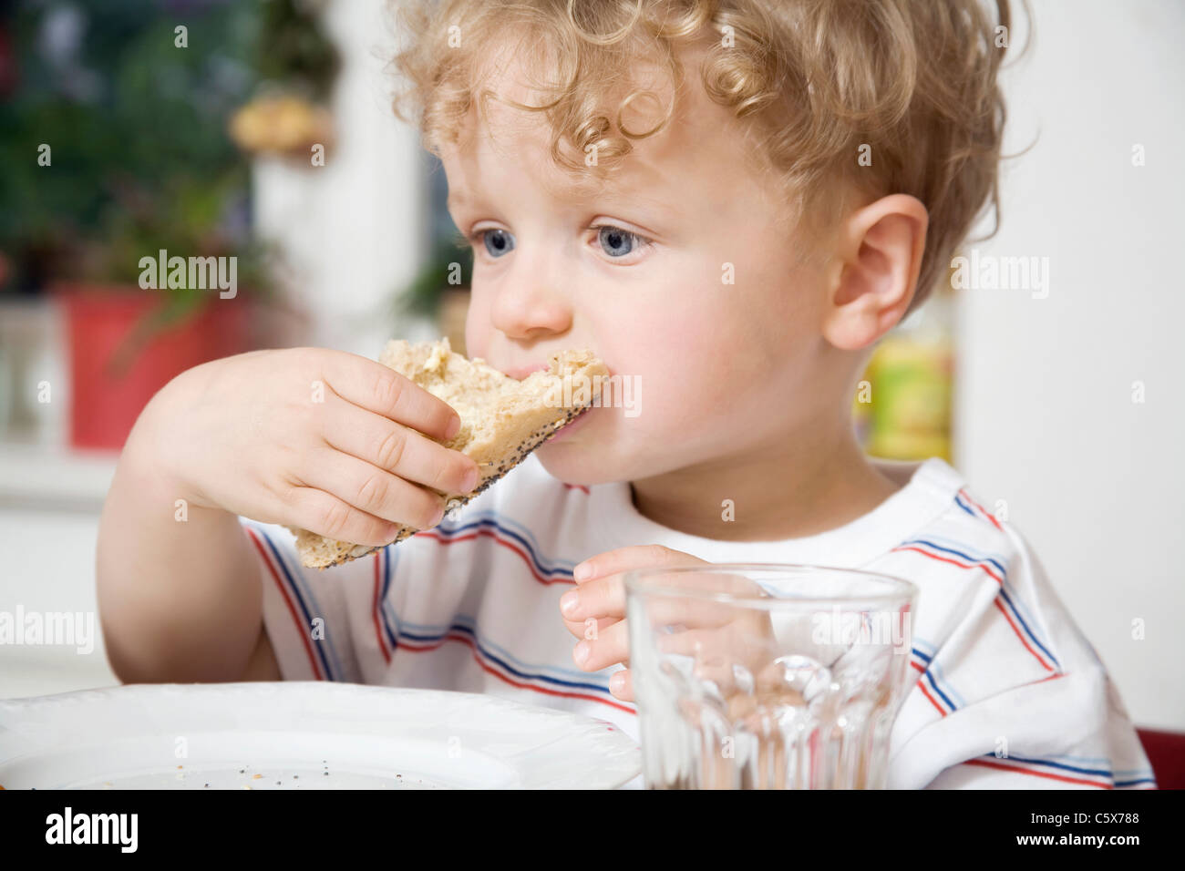 Germany, Berlin, boy (3-4) eating bread roll, portrait Stock Photo - Alamy