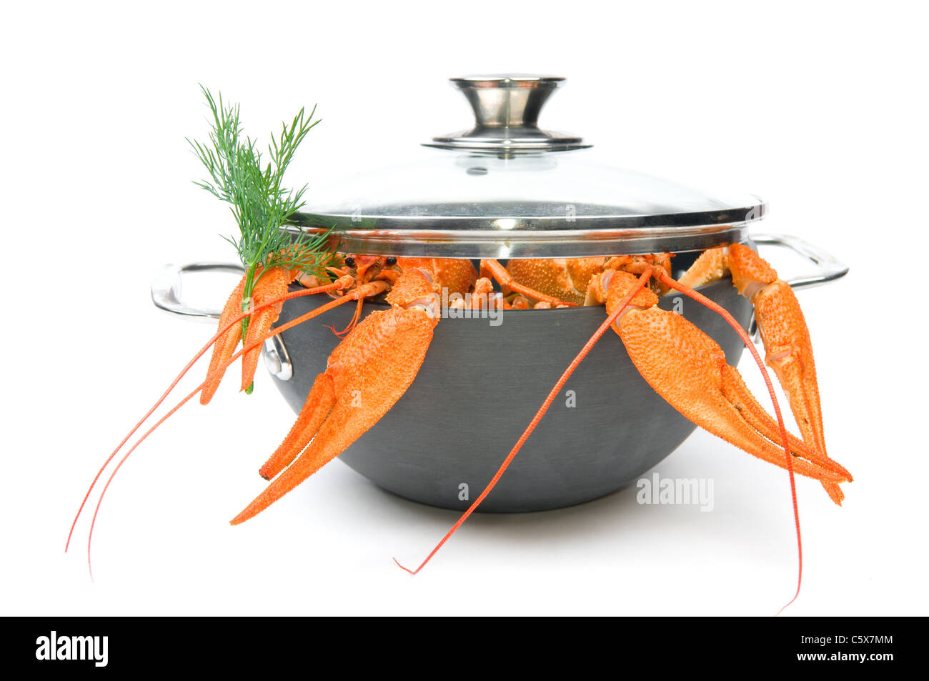 Crayfish pot hi-res stock photography and images - Alamy