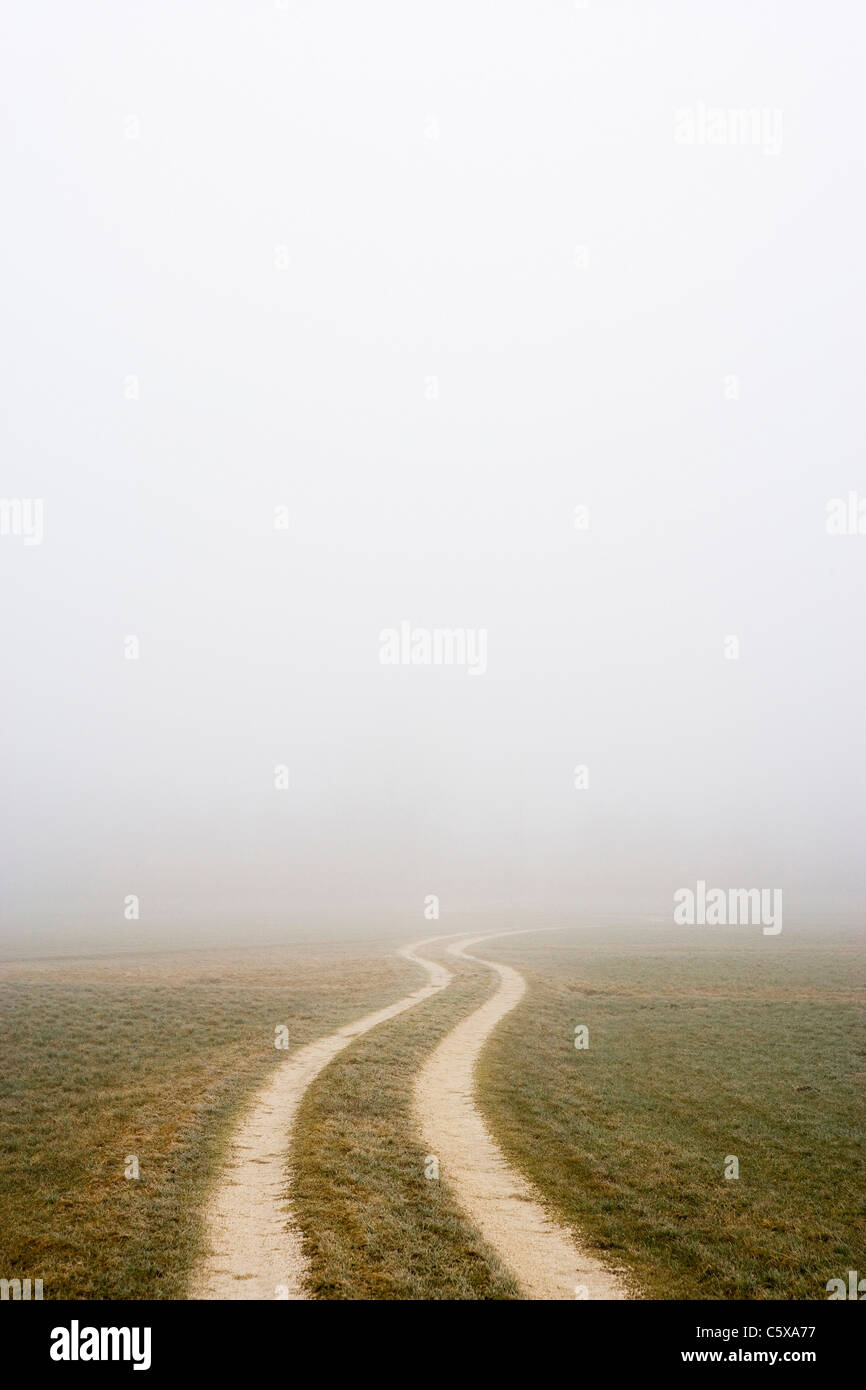 Field path and fog Stock Photo - Alamy