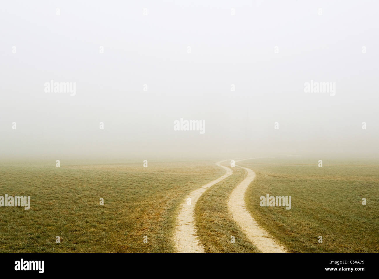 Field path hi-res stock photography and images - Alamy