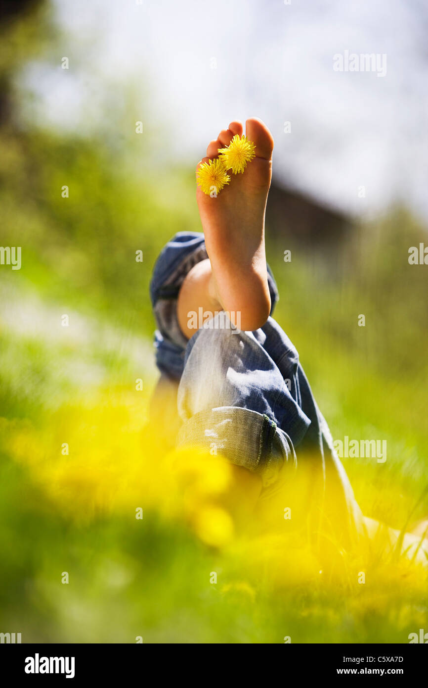Dandelion flowers hi-res stock photography and images - Alamy