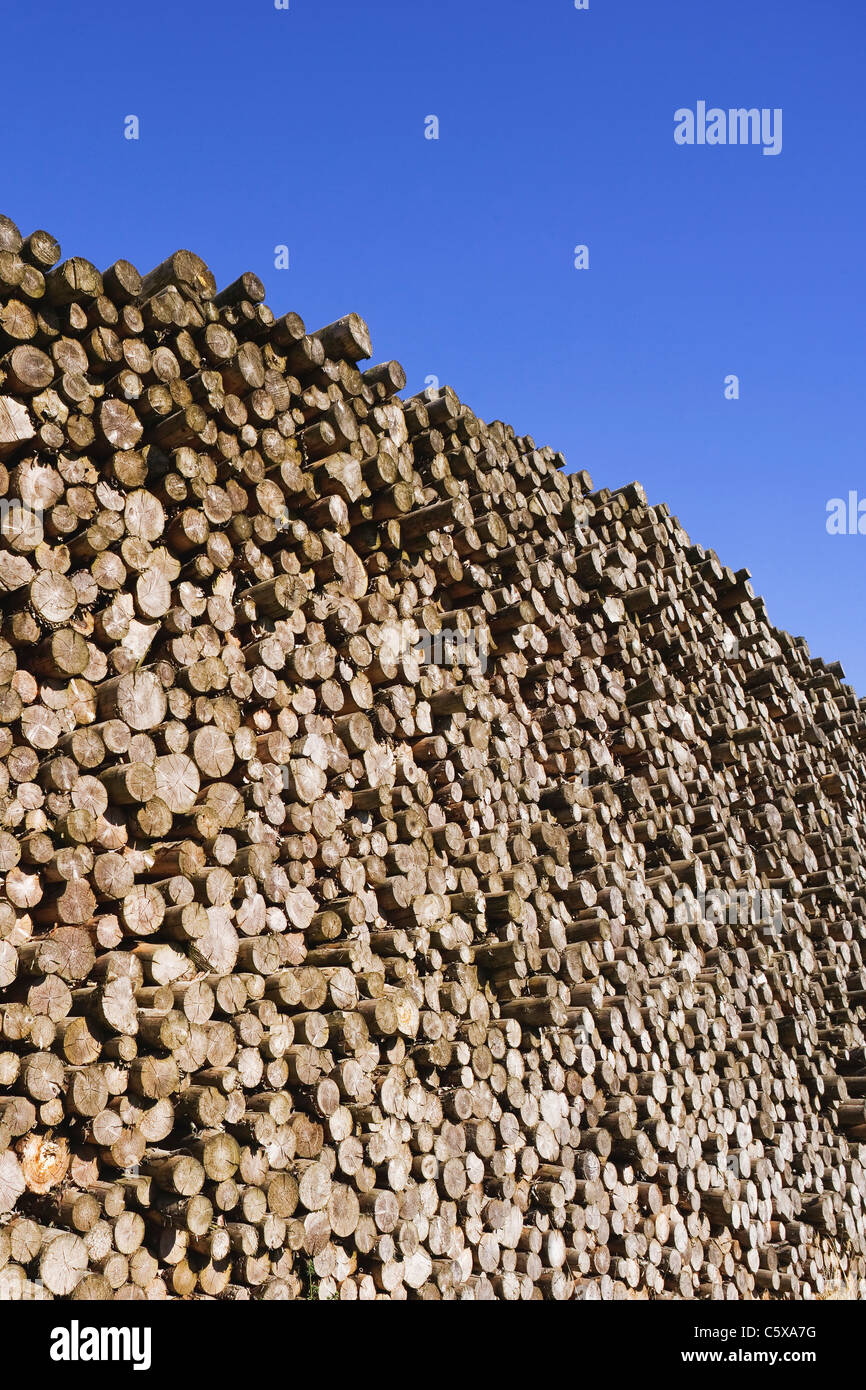 Stack of logs Stock Photo - Alamy