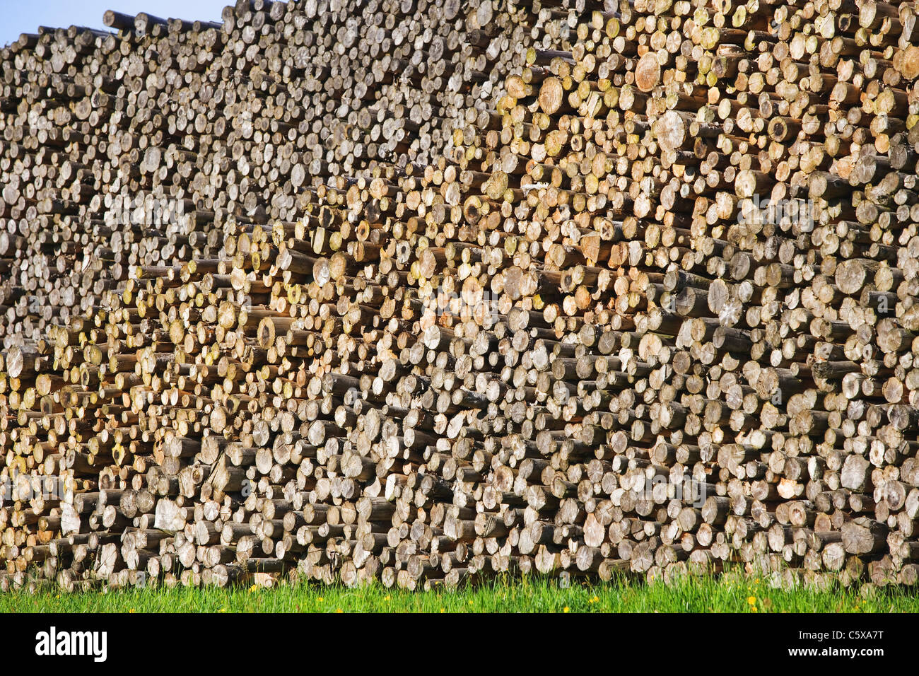Stack of logs Stock Photo - Alamy