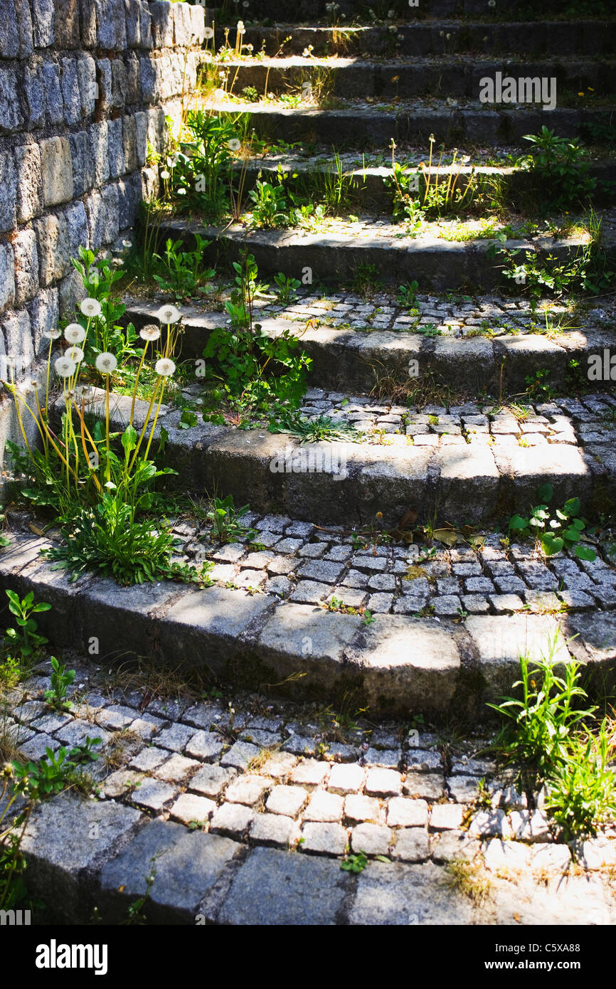 Overgrown with grass hi-res stock photography and images - Alamy