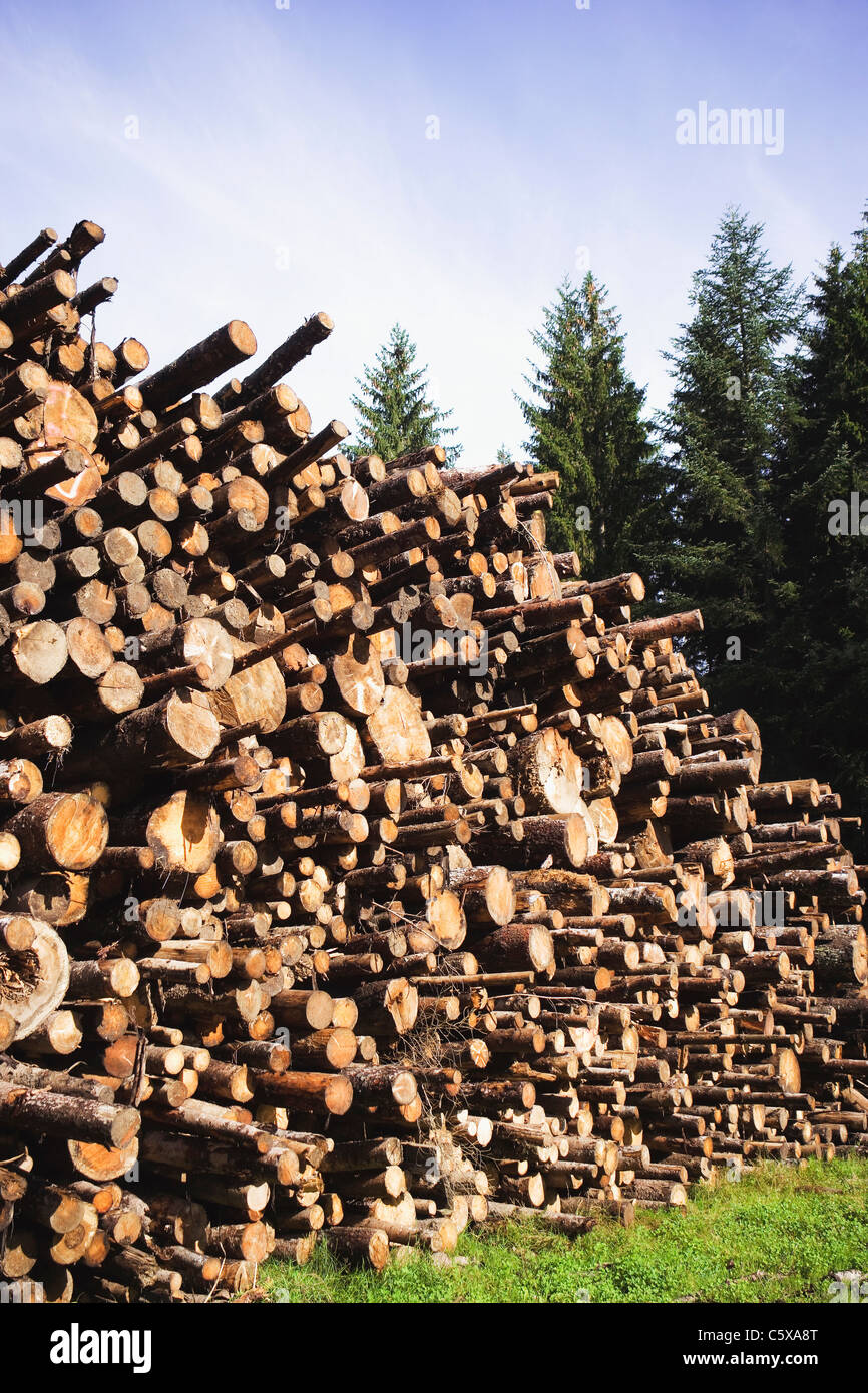 Stack of logs Stock Photo - Alamy