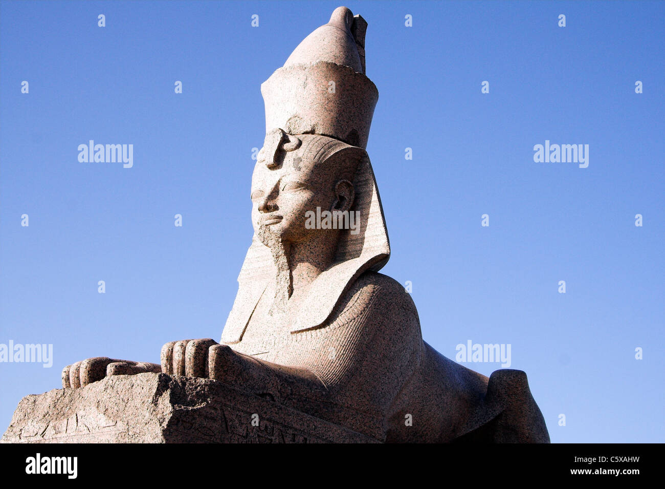 Ancient Egyptian sphinx on the Neva River, St Petersburg, Russia Stock ...