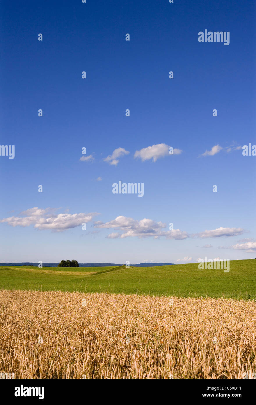Austria, Salzkammergut, Irrsee, Countryside, blue sky and clouds Stock ...