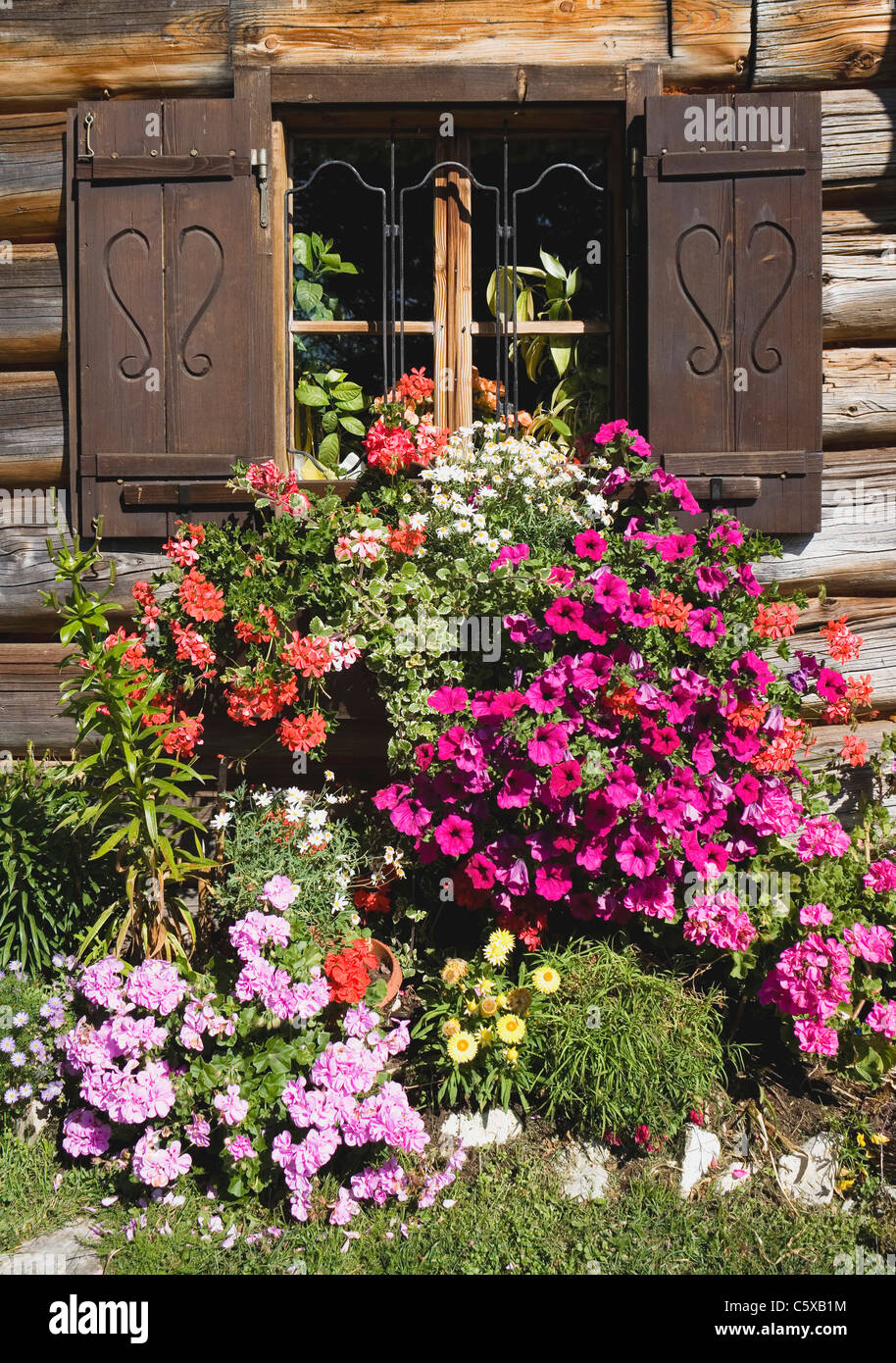 Peggys Log Cabin Flowers