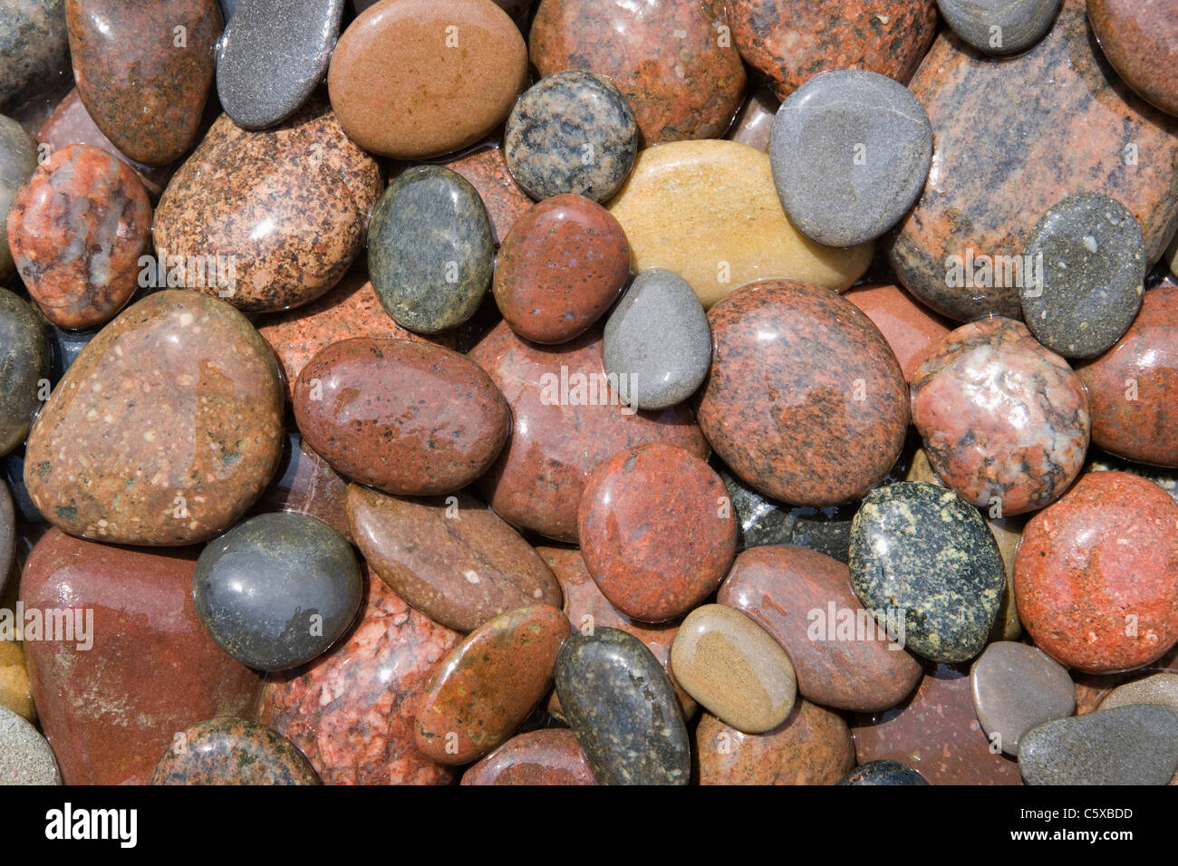 Variety of pebbles, elevated view, close up Stock Photo - Alamy
