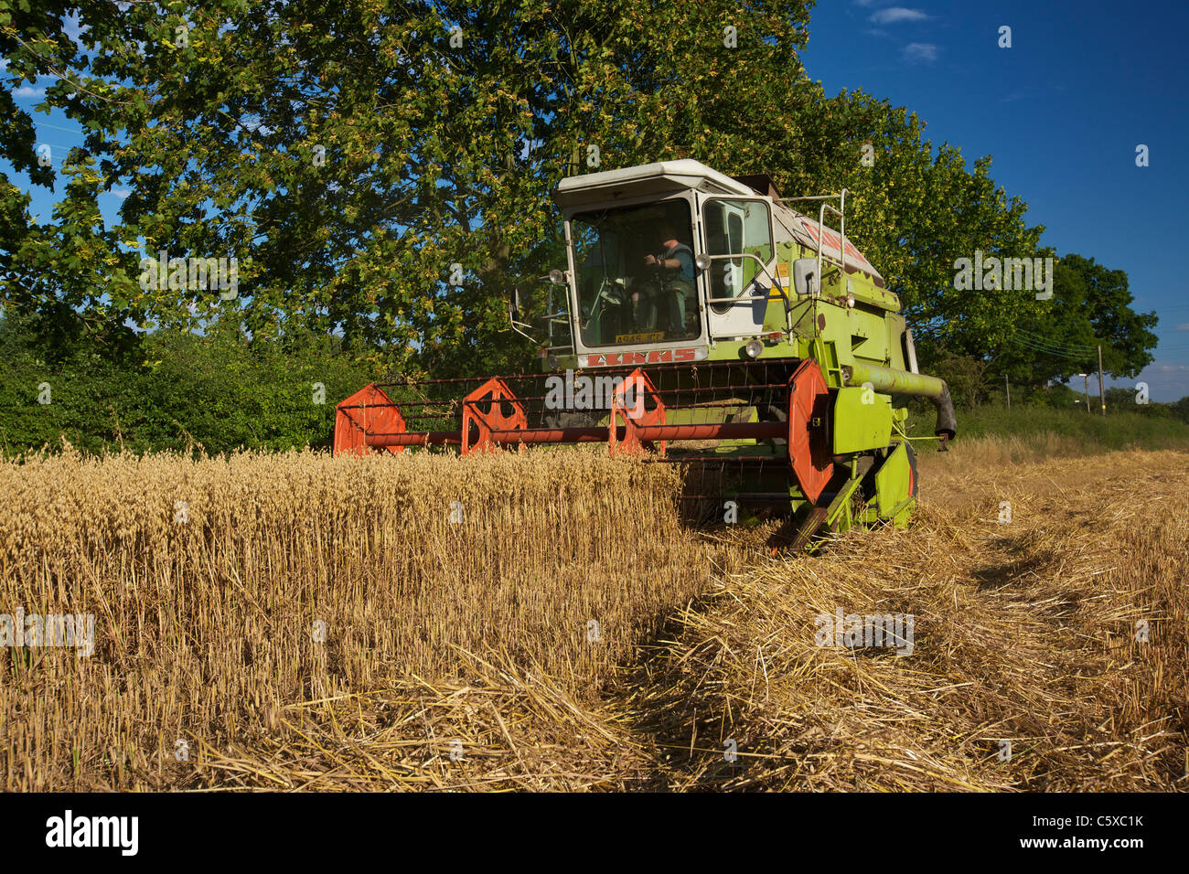 Claas Dominator 106 Cutting Oats Stock Photo - Alamy