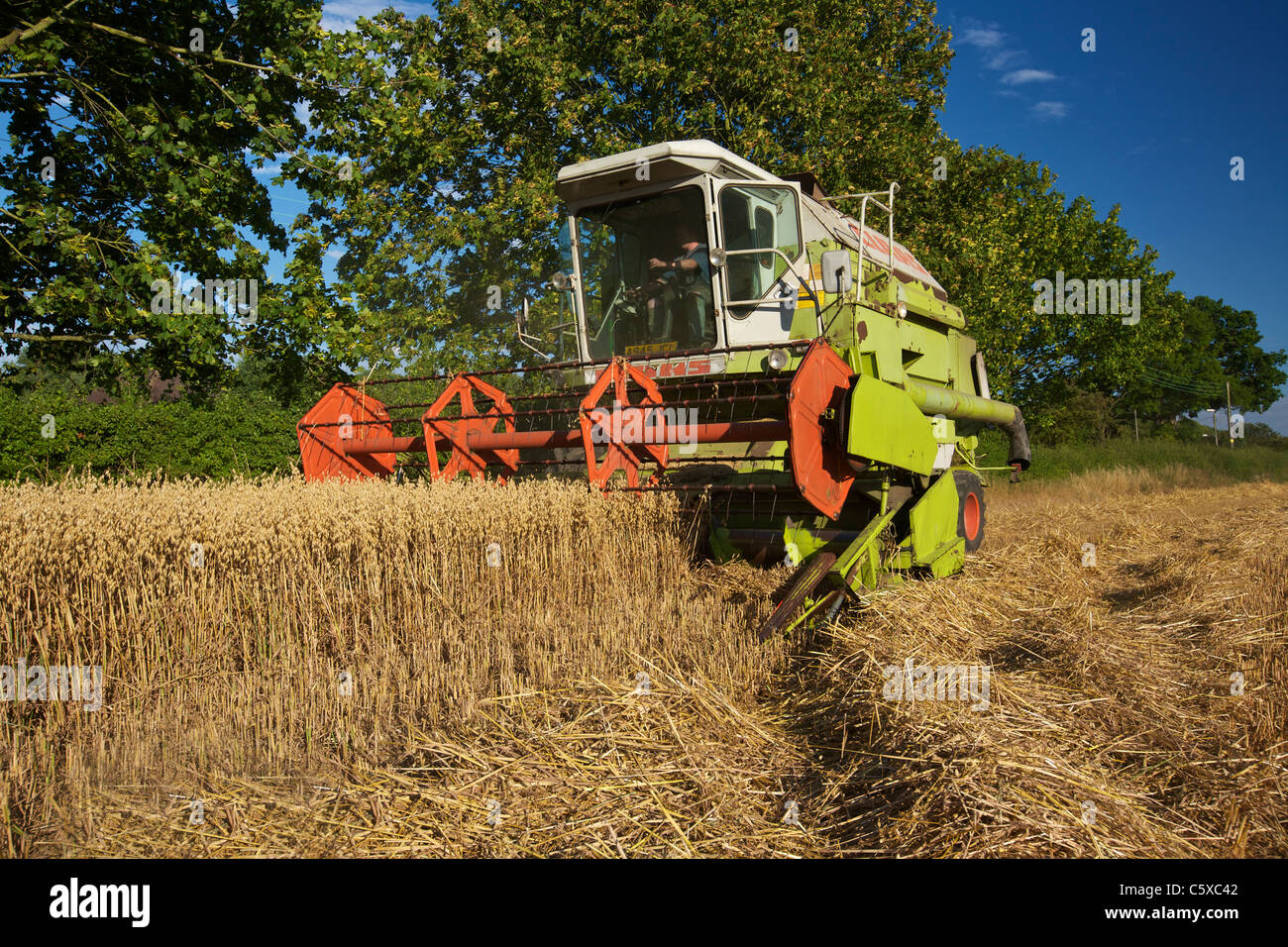 Claas Dominator 106 Cutting Oats Stock Photo - Alamy