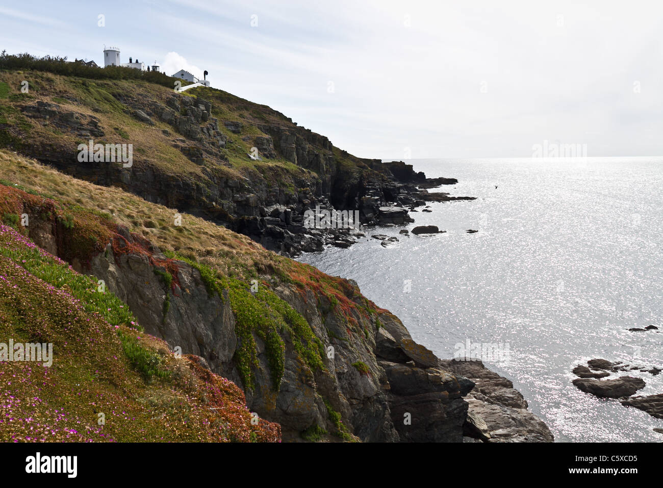 Lizard point cornwall hi-res stock photography and images - Alamy
