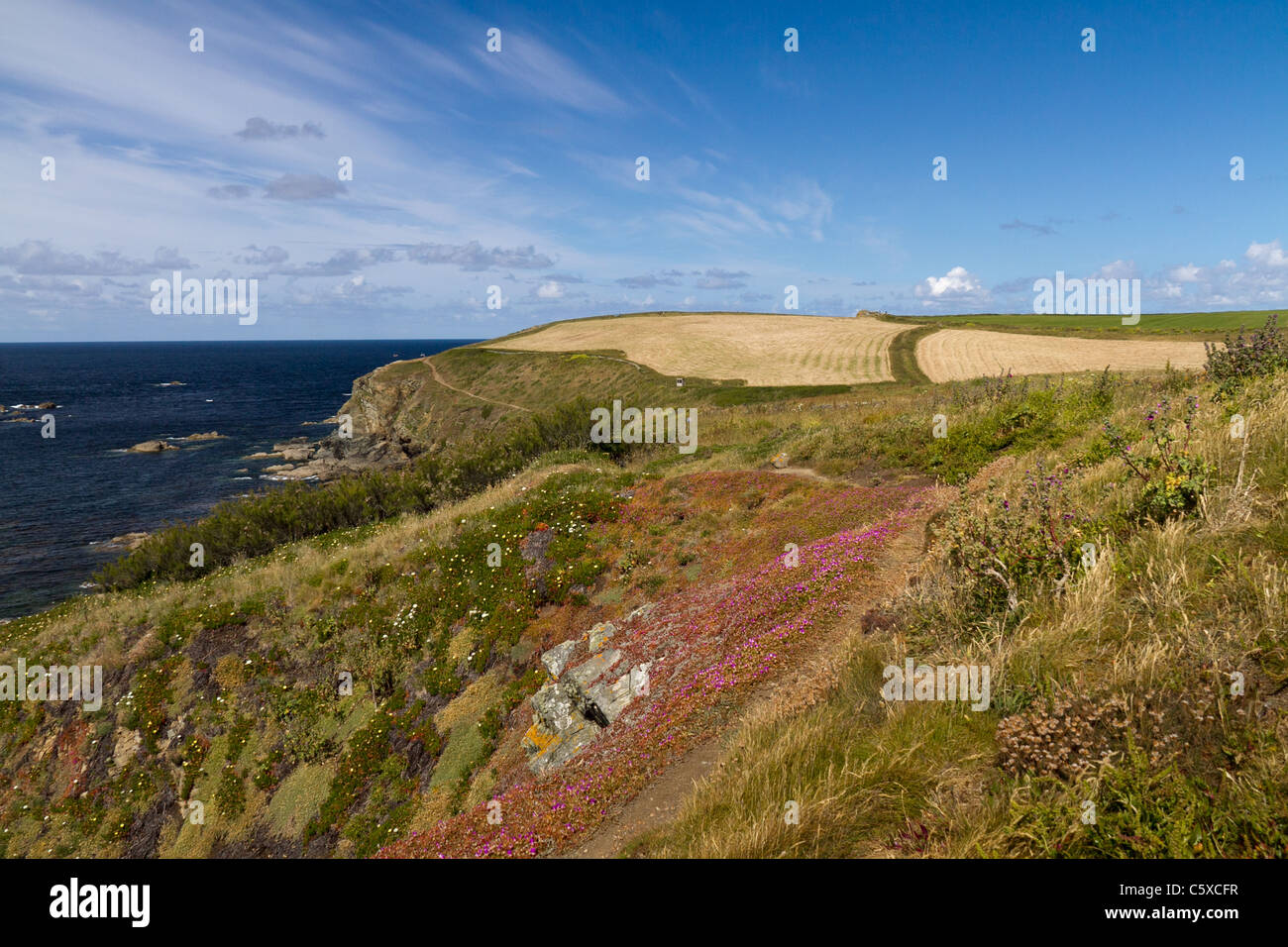 Polpeor Cliff, Lizard Point, Cornwall Stock Photo - Alamy