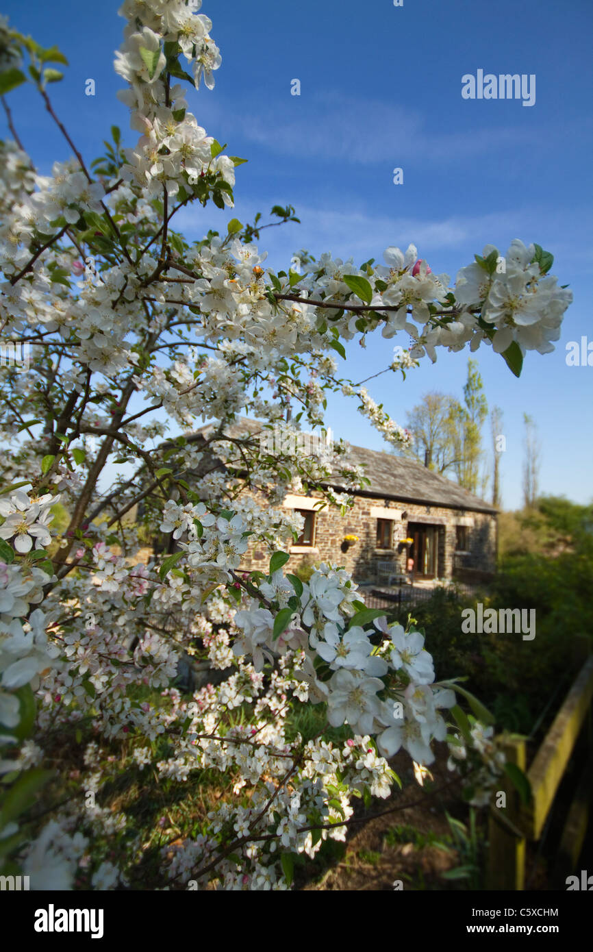 Spring barn hi-res stock photography and images - Alamy