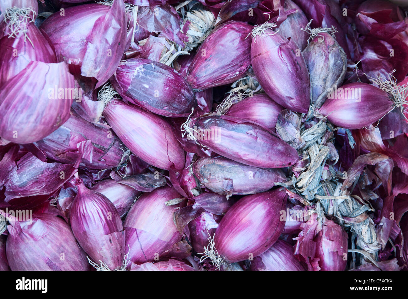 The sweet red onion of tropea hi-res stock photography and images - Alamy