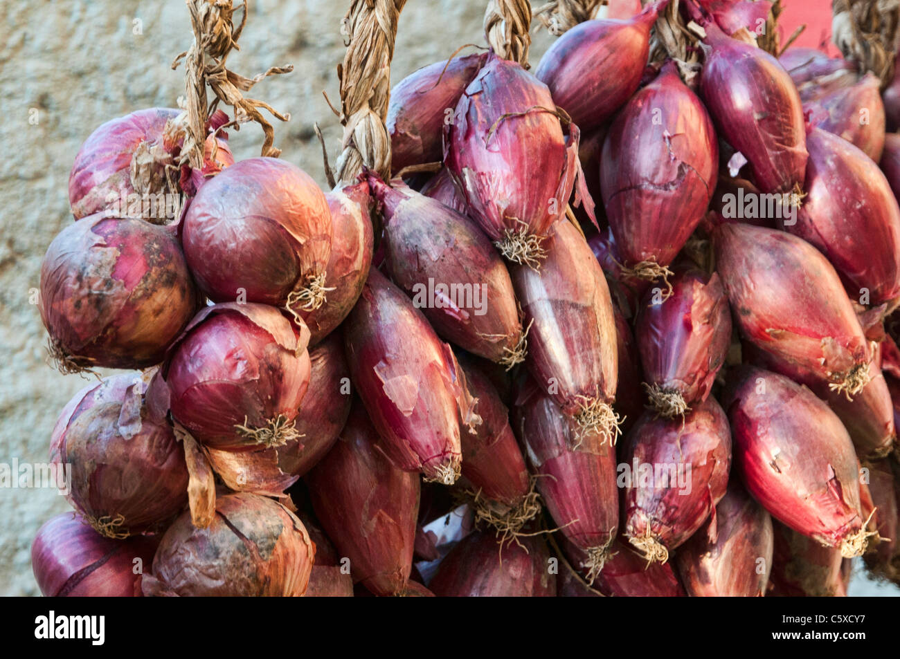 Red onions from Tropea, Italy Stock Photo - Alamy