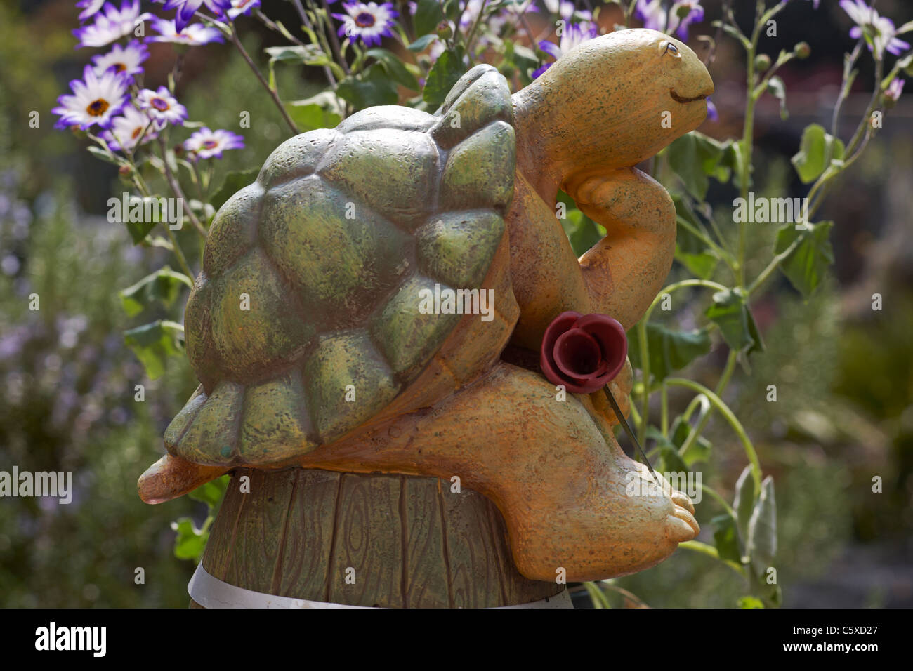 Garden ornamental tortoise sat holding red rose with head on hands in ...